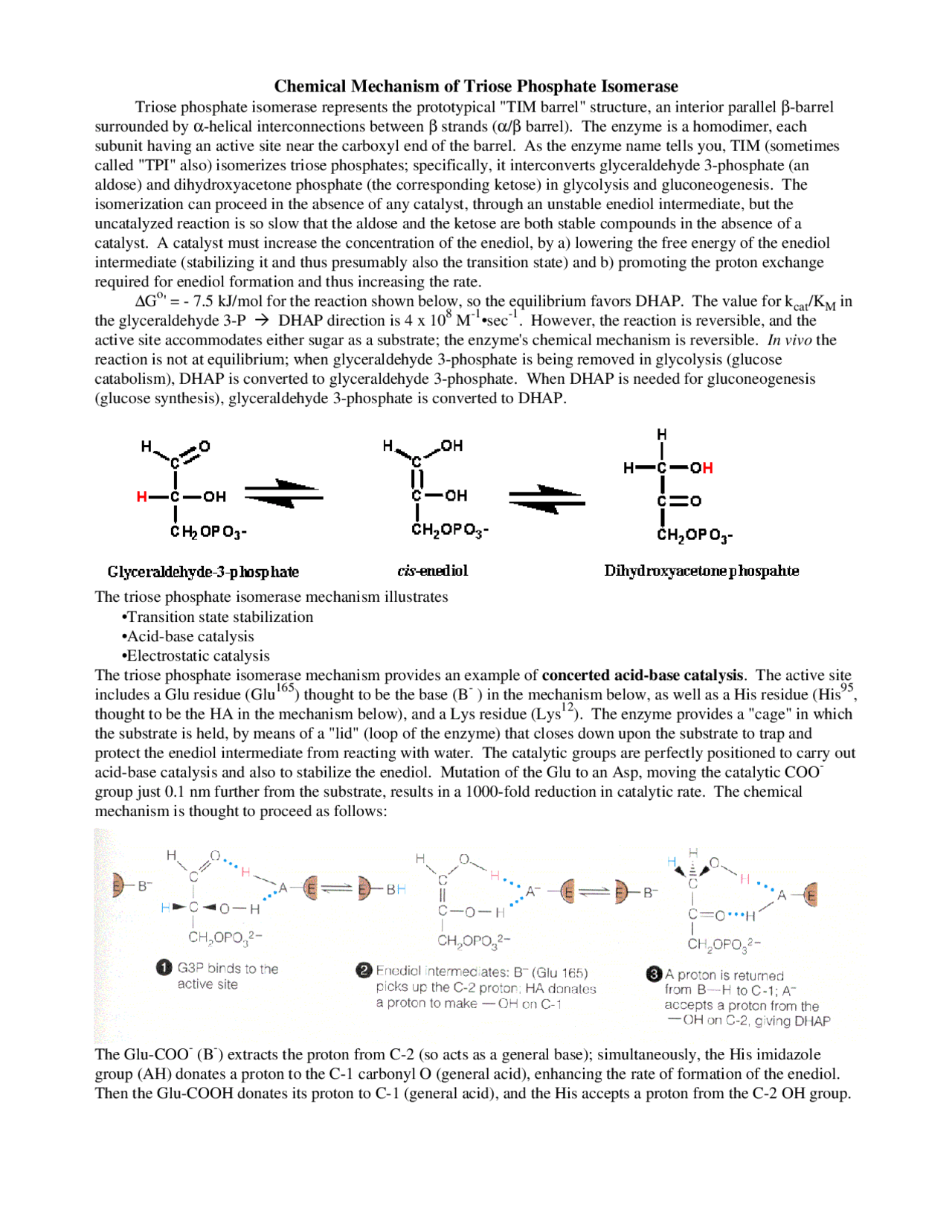 Chemical Mechanism of Triose Phosphate Isomerase - Biochemistry | BIOC ...