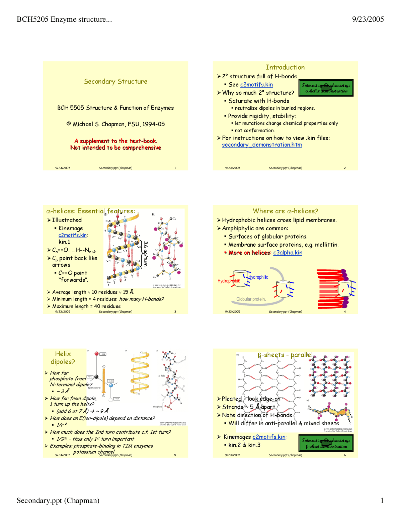 Lecture Slides On Secondary Structure Structure And Function Enzymes