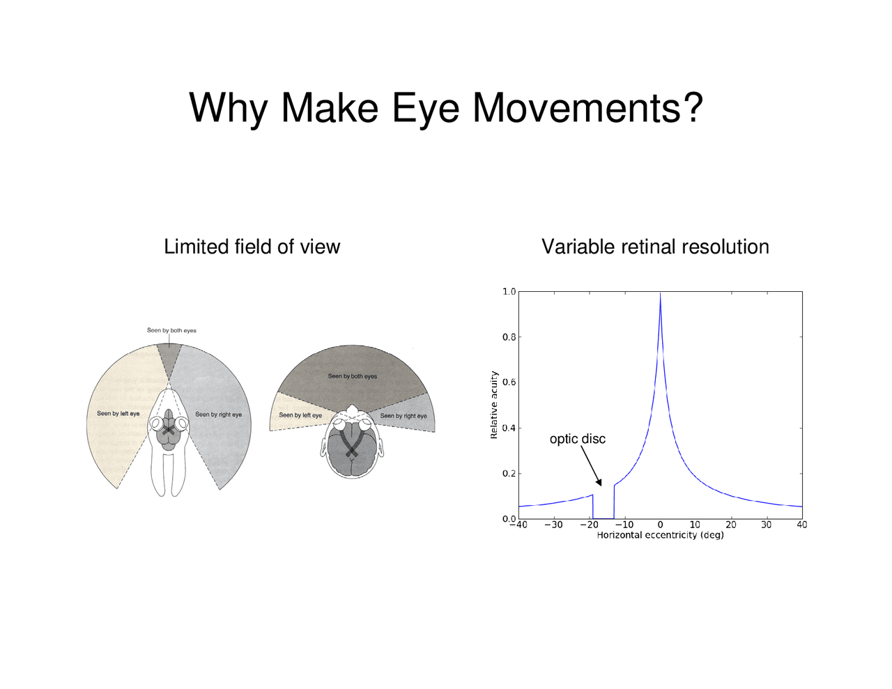Why Make Eye Movements Lecture Slides Psy 323 Docsity