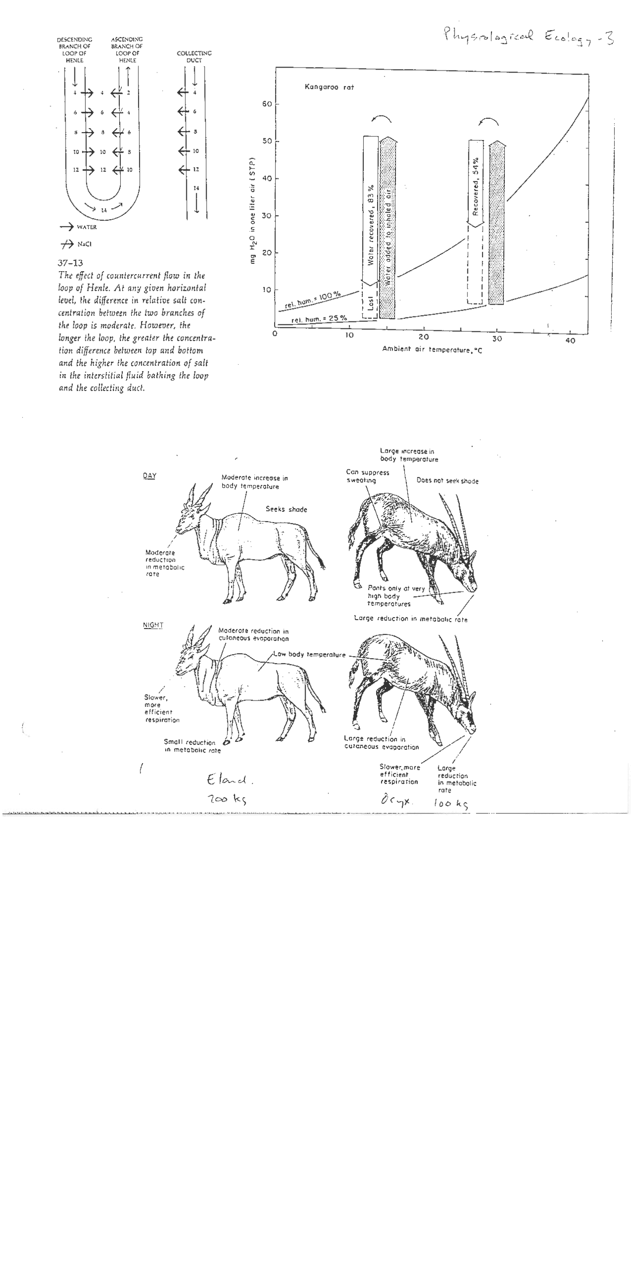 Physiological Ecology Mammalogy Lecture Notes Ecol 485 Docsity