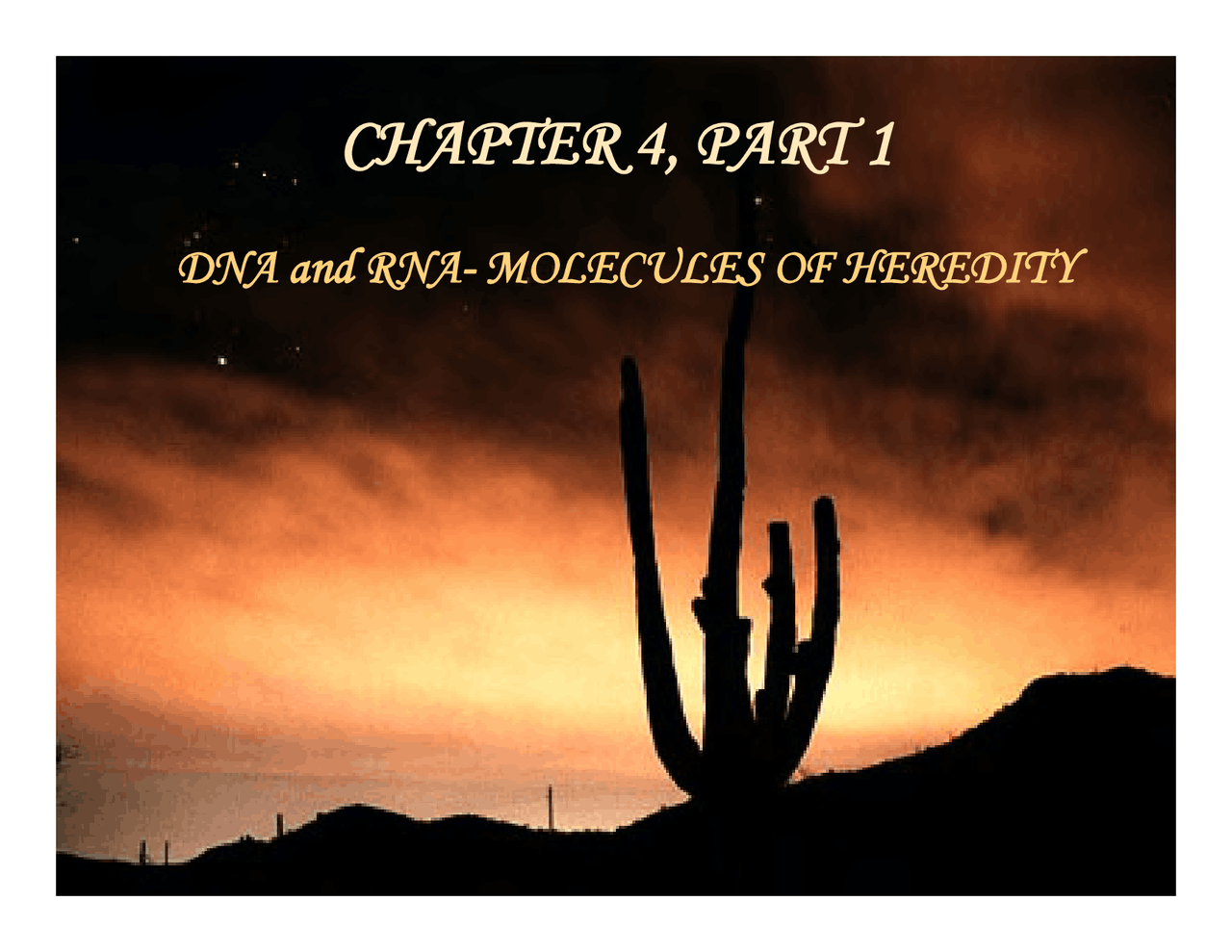 Dna And Rna Molecules Of Heredity Lecture Slides Bioc 461 Docsity