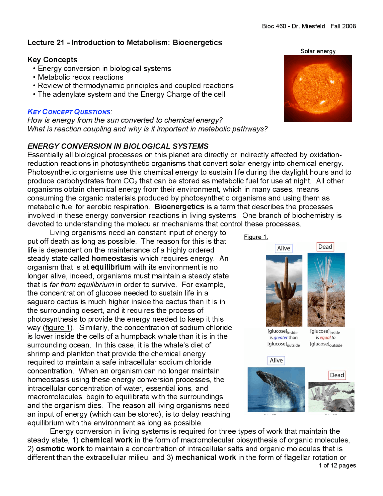 Lecture Notes On Introduction To Metabolism Bioenergetics Bioc 460