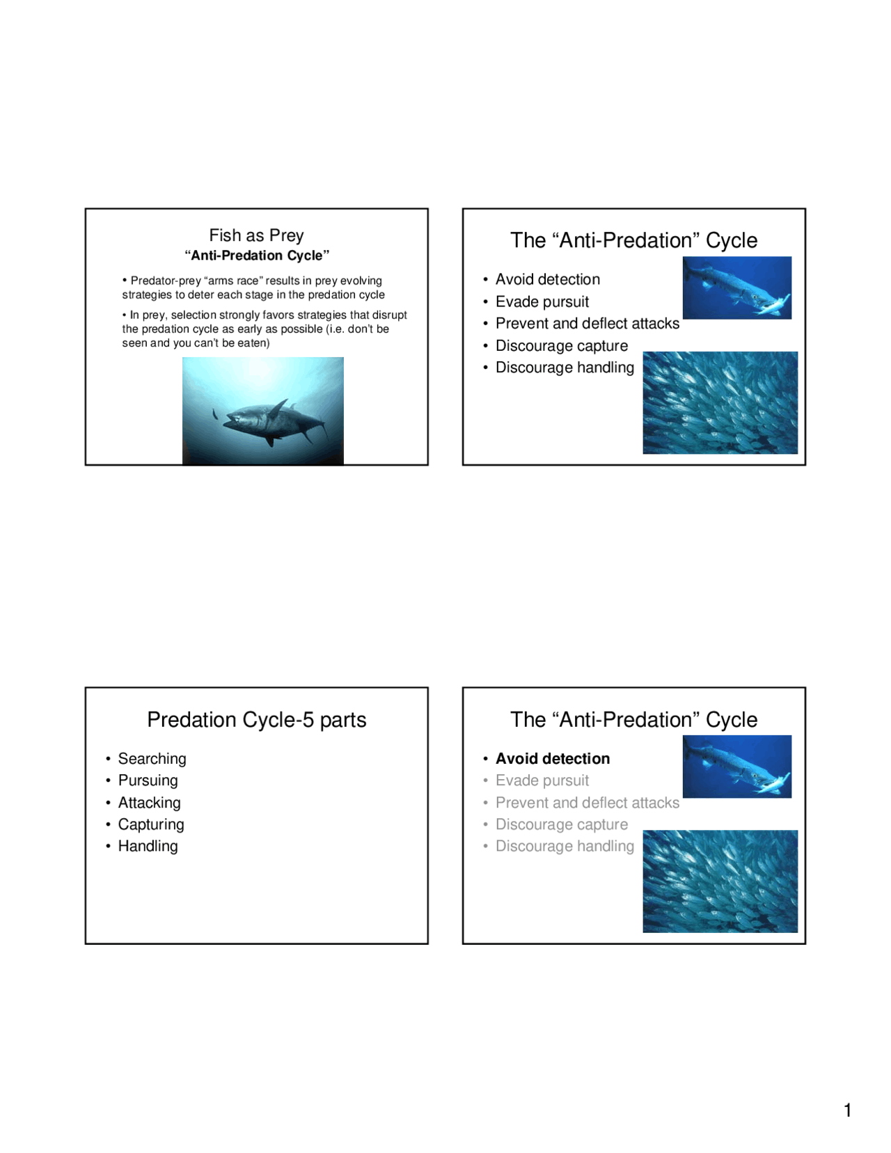 The Anti Predation Cycle Lecture Slides Ecol 482 Docsity