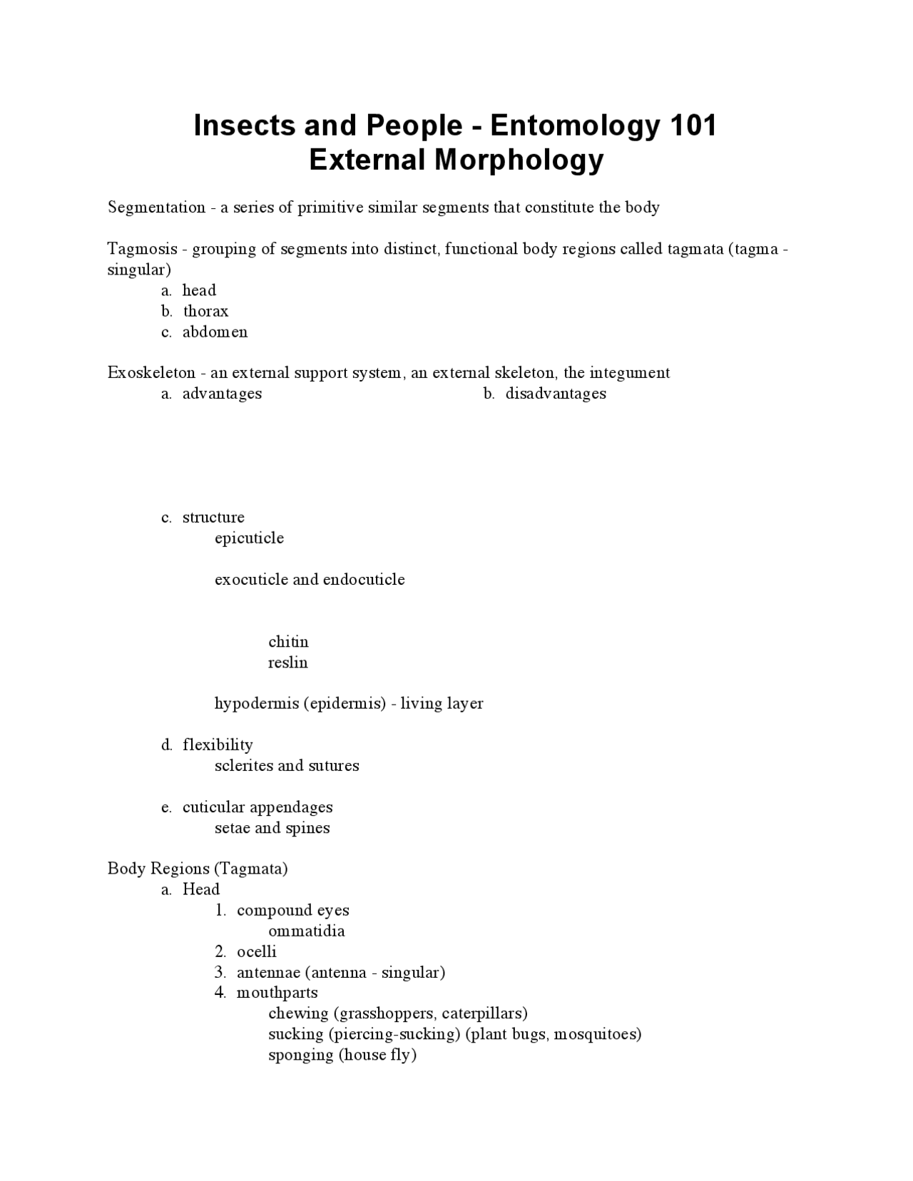Notes On External Morphology Insects And People Entom 101 Docsity