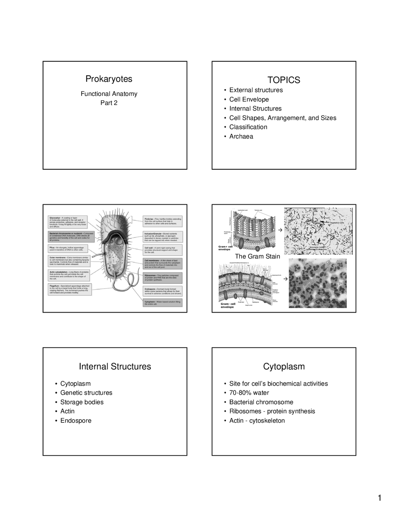 Prokaryotes Functional Anatomy Lecture Slides Mic 205a Docsity