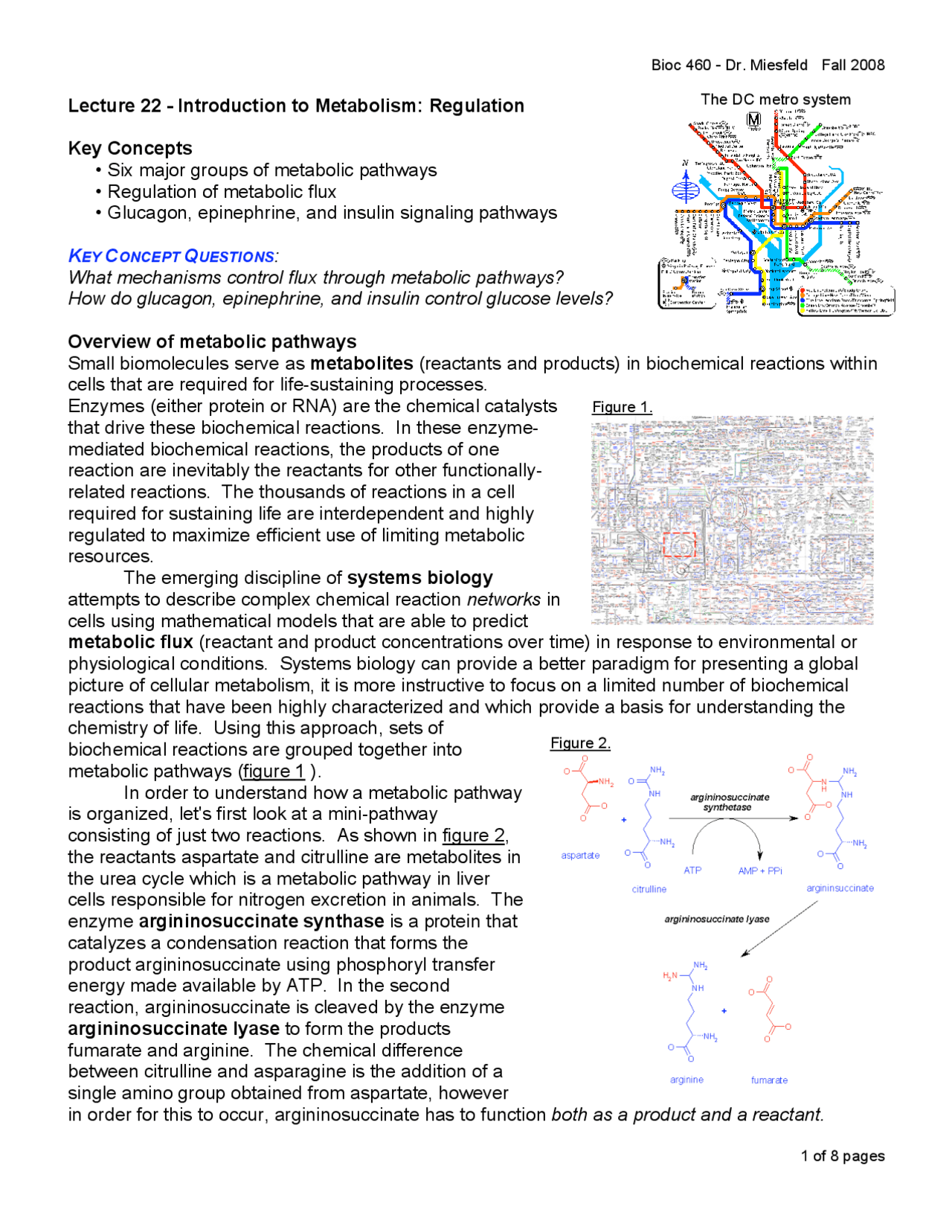 Introduction To Metabolism Regulation Lecture Notes Bioc 460