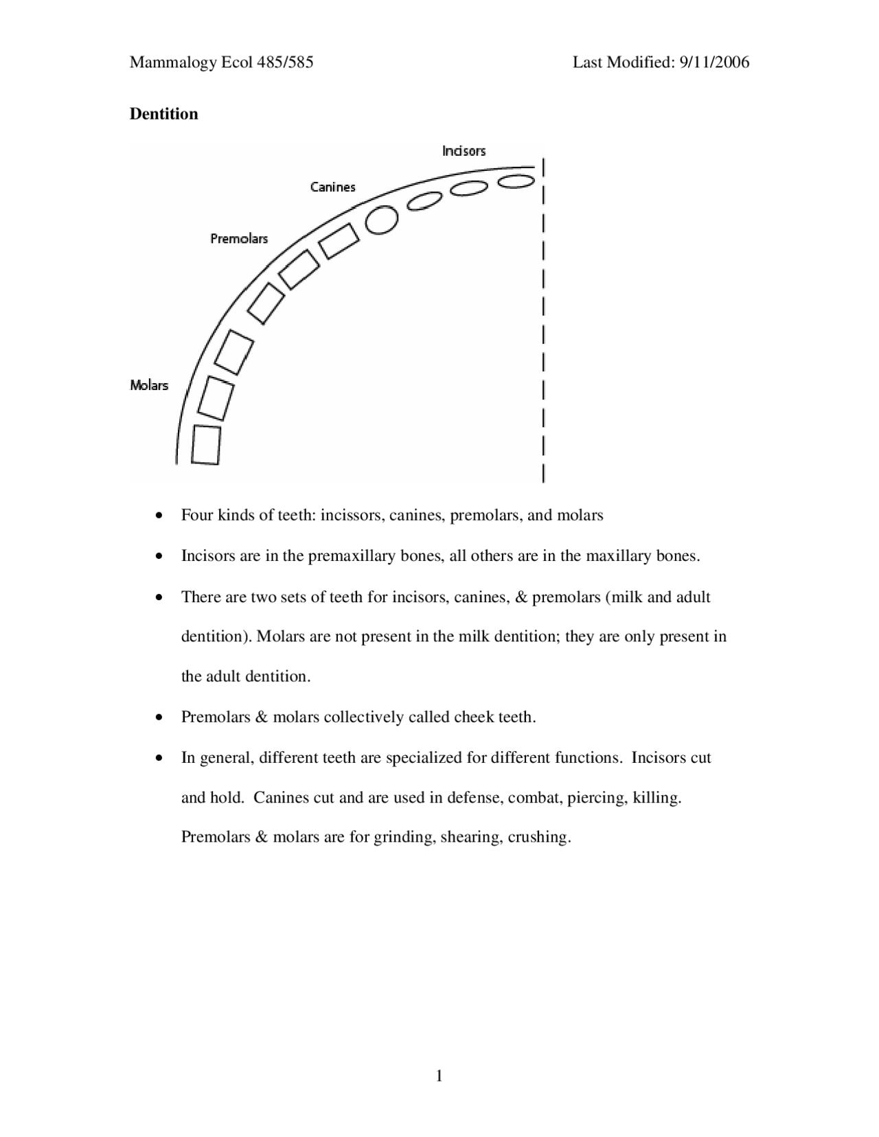 Lecture Notes On Dentition Mammalogy Ecol 485 Docsity