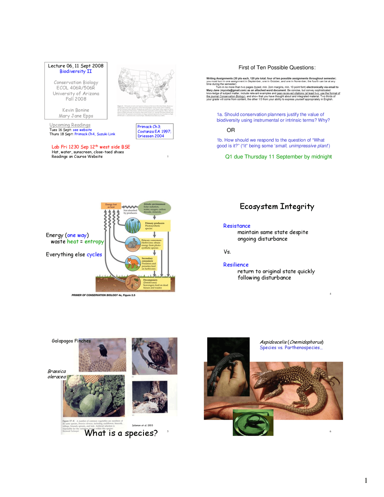 Biodiversity & Ecosystem Economics: Exploring Species, Diversity ...