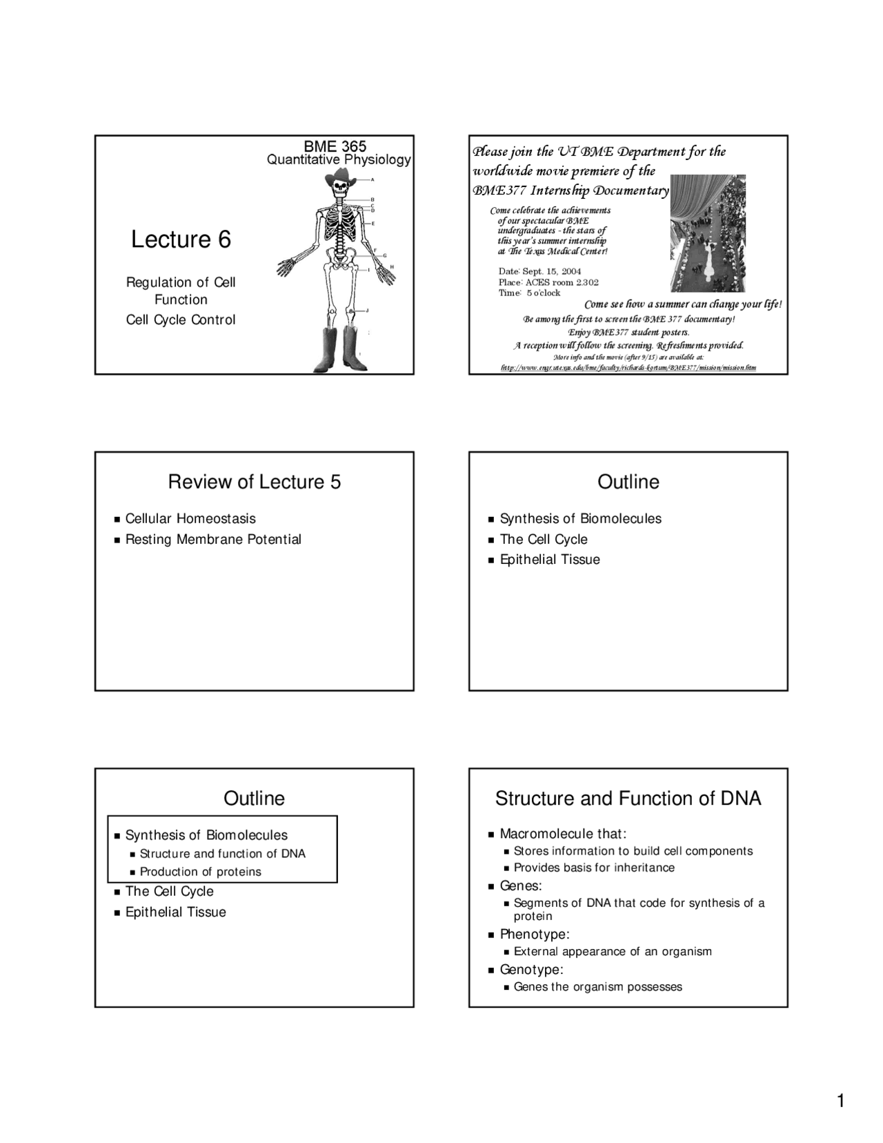 Regulation Of Cell Function Cell Cycle Control Lecture Slides Bme