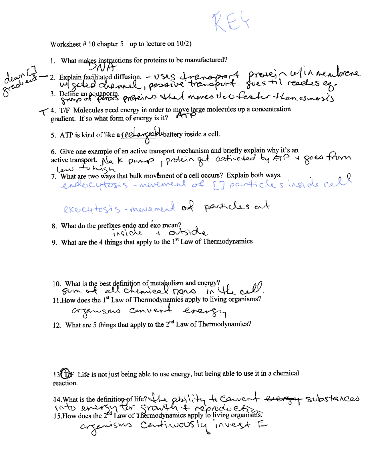Worksheet 10 With Answer Key Introductory Biology Bio 1101 Docsity