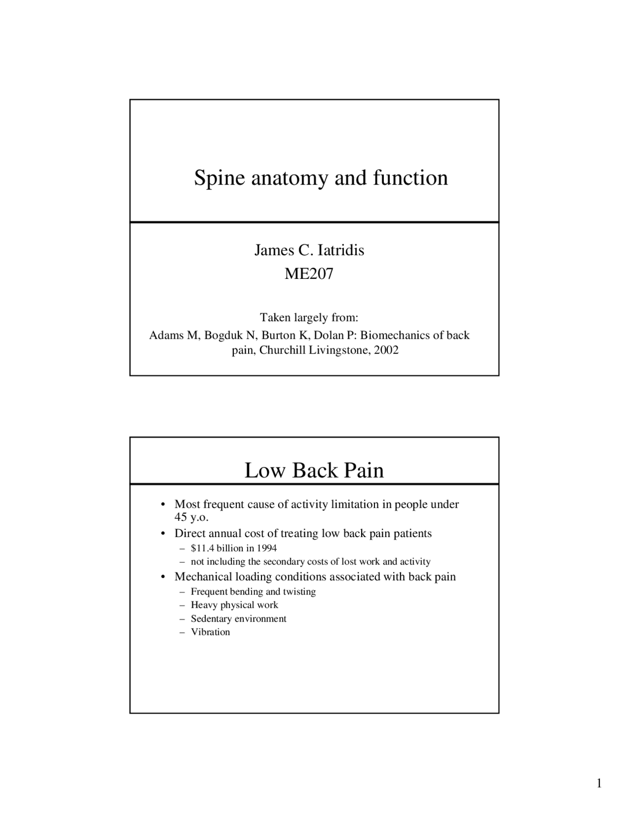 Spine Anatomy and Pathologies: Understanding Low Back Pain and Disc ...