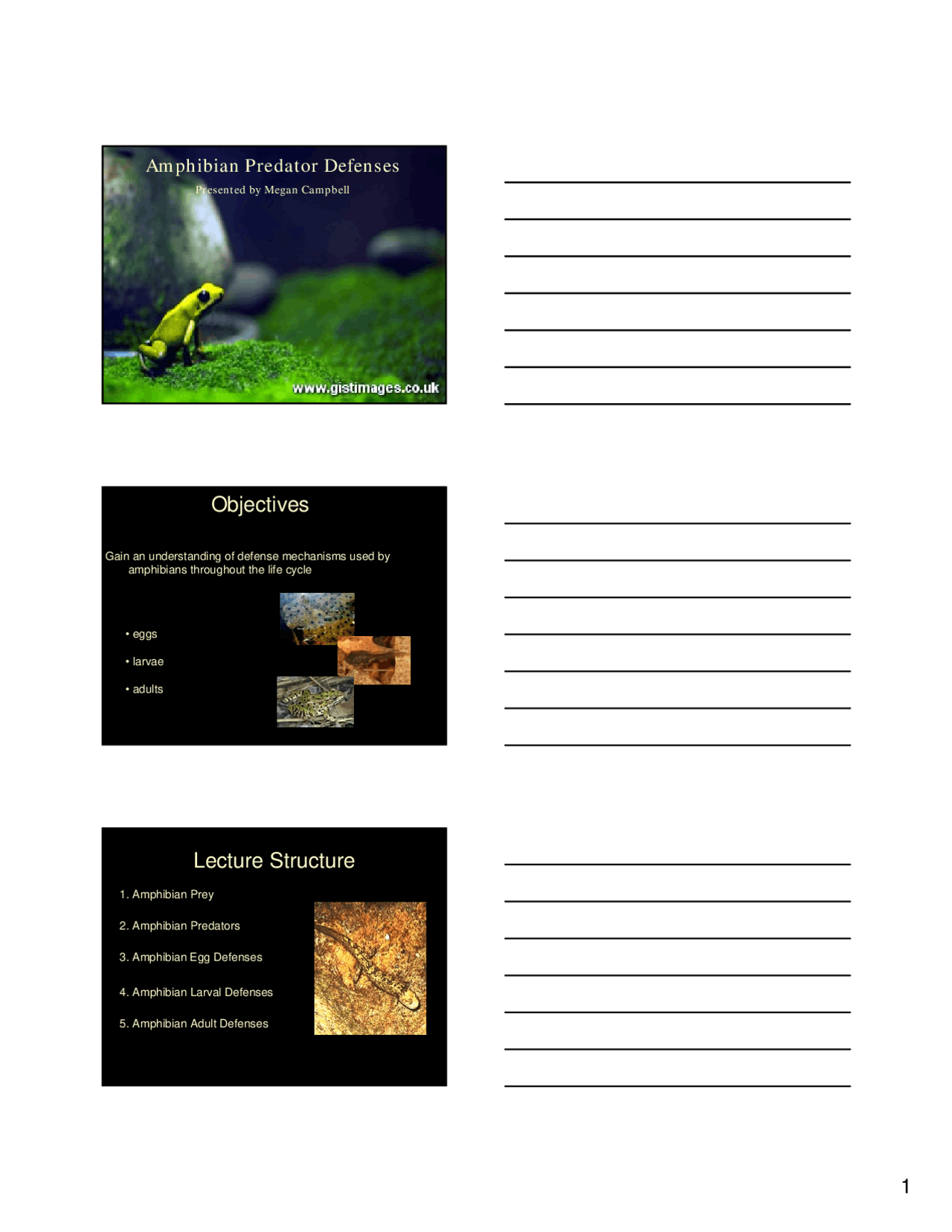 Amphibian Predator Defenses Lecture Slides Wfs 493 Docsity