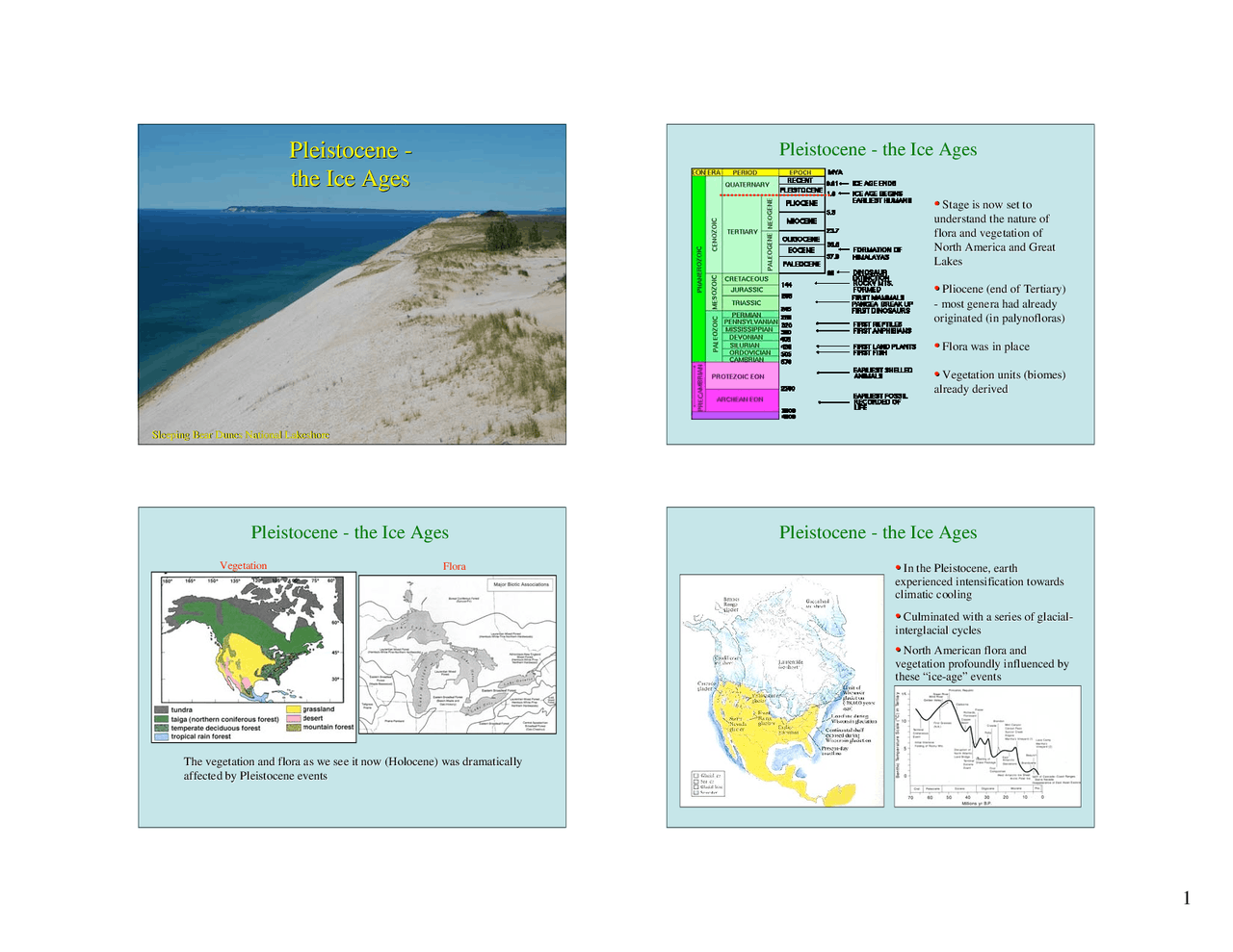 Pleistocene: the Ice Ages - Lecture Slides | BOTANY 422 - Docsity