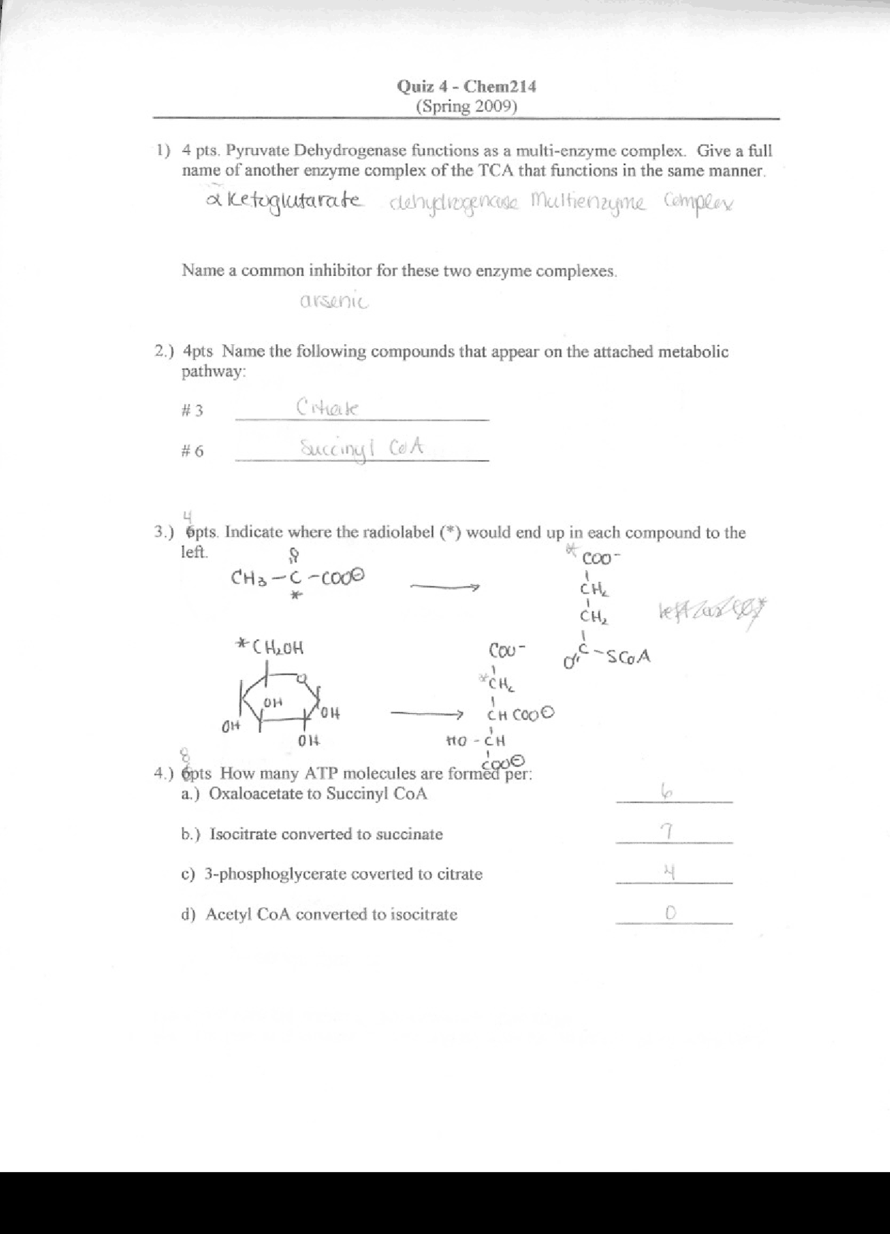 Elementary Biochemistry Quiz 3 with Solutions | CHEM 214 - Docsity