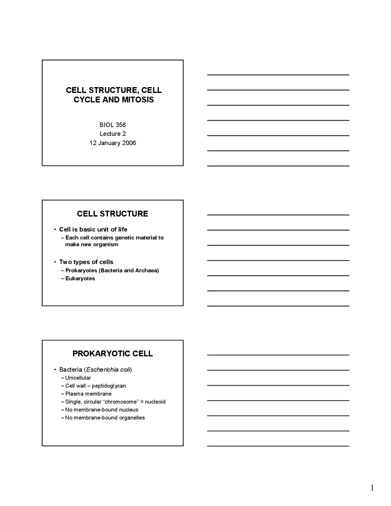 Cell Structure Cell Cycle And Mitosis Lecture Slides Biol 358