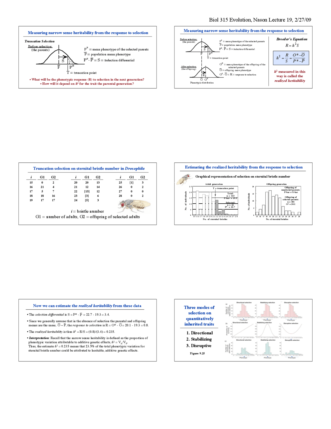 Measuring Narrow Sense Heritability from Response to Selection | BIOL ...