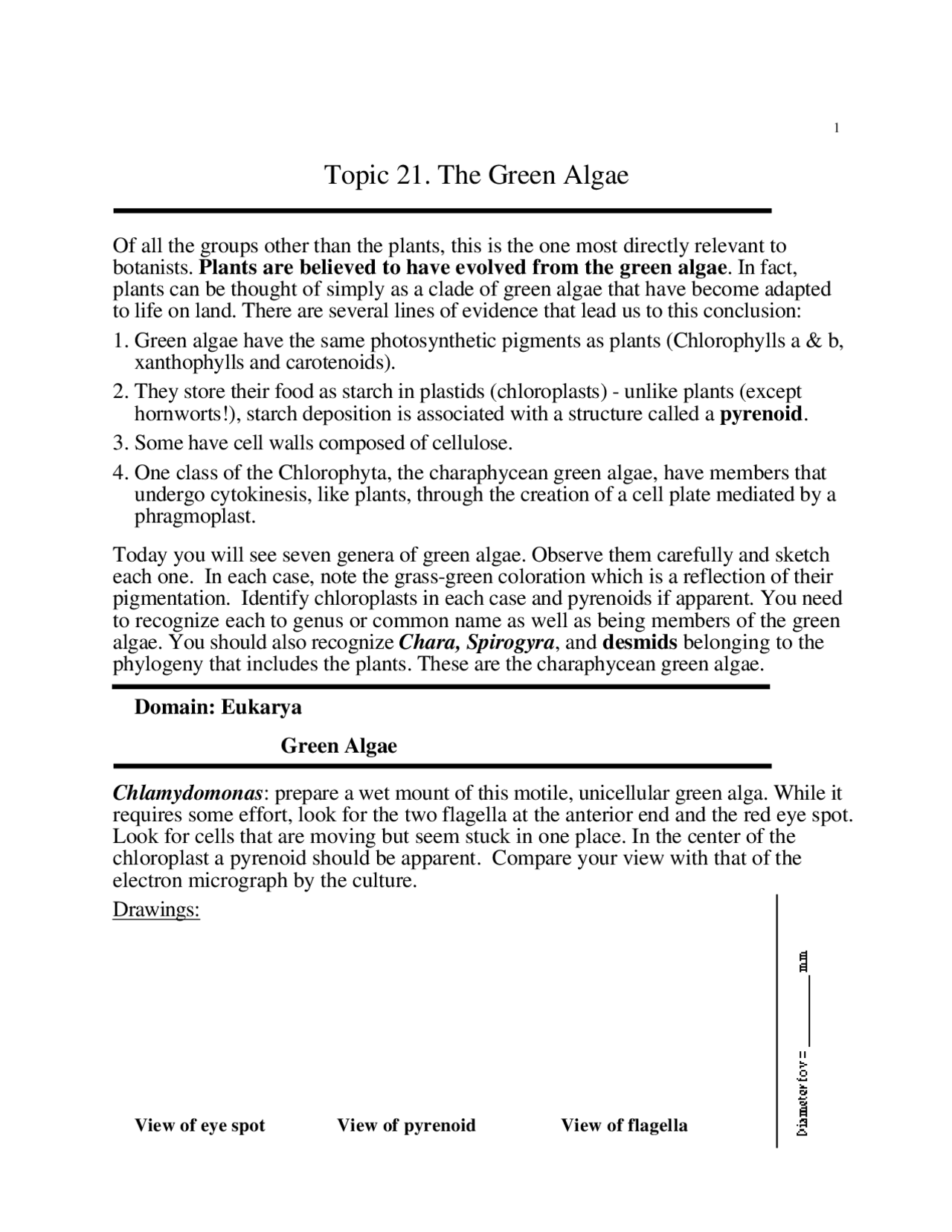 Notes On The Green Algae General Botany Botany 130 Docsity