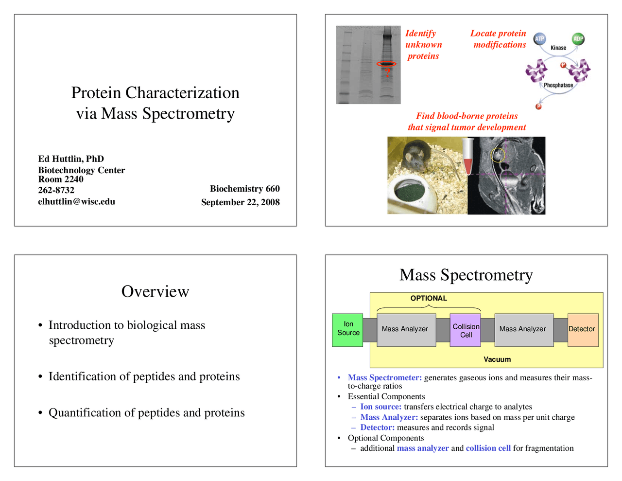Lecture Notes on Protein Characterization Via Mass Spectrometry ...