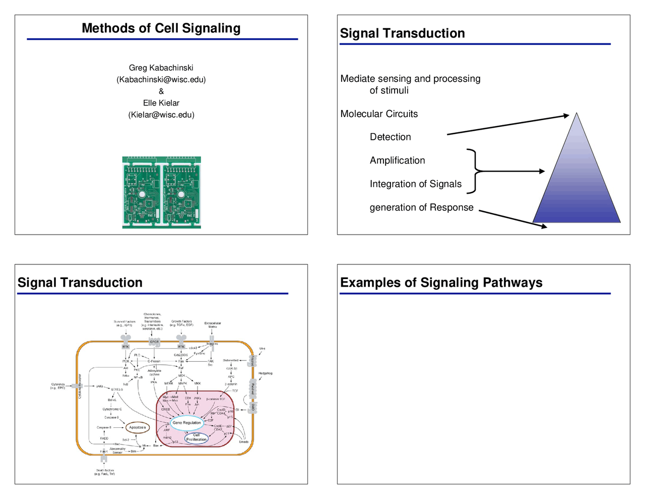 Methods of Cell Signaling: Detection, Amplification, and Integration of ...