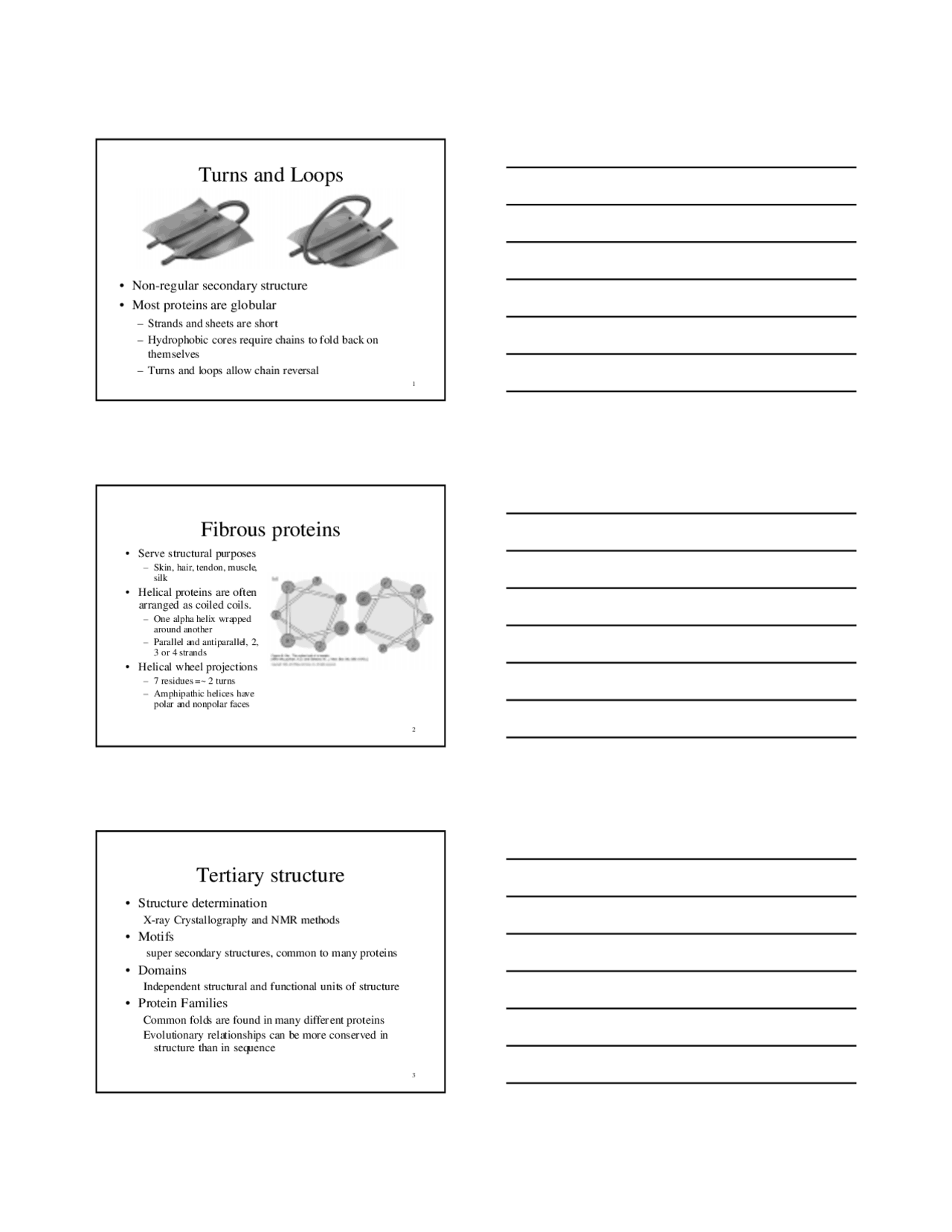 Tums And Loops Fibrous Proteins Lecture Slides Chem 471 Docsity