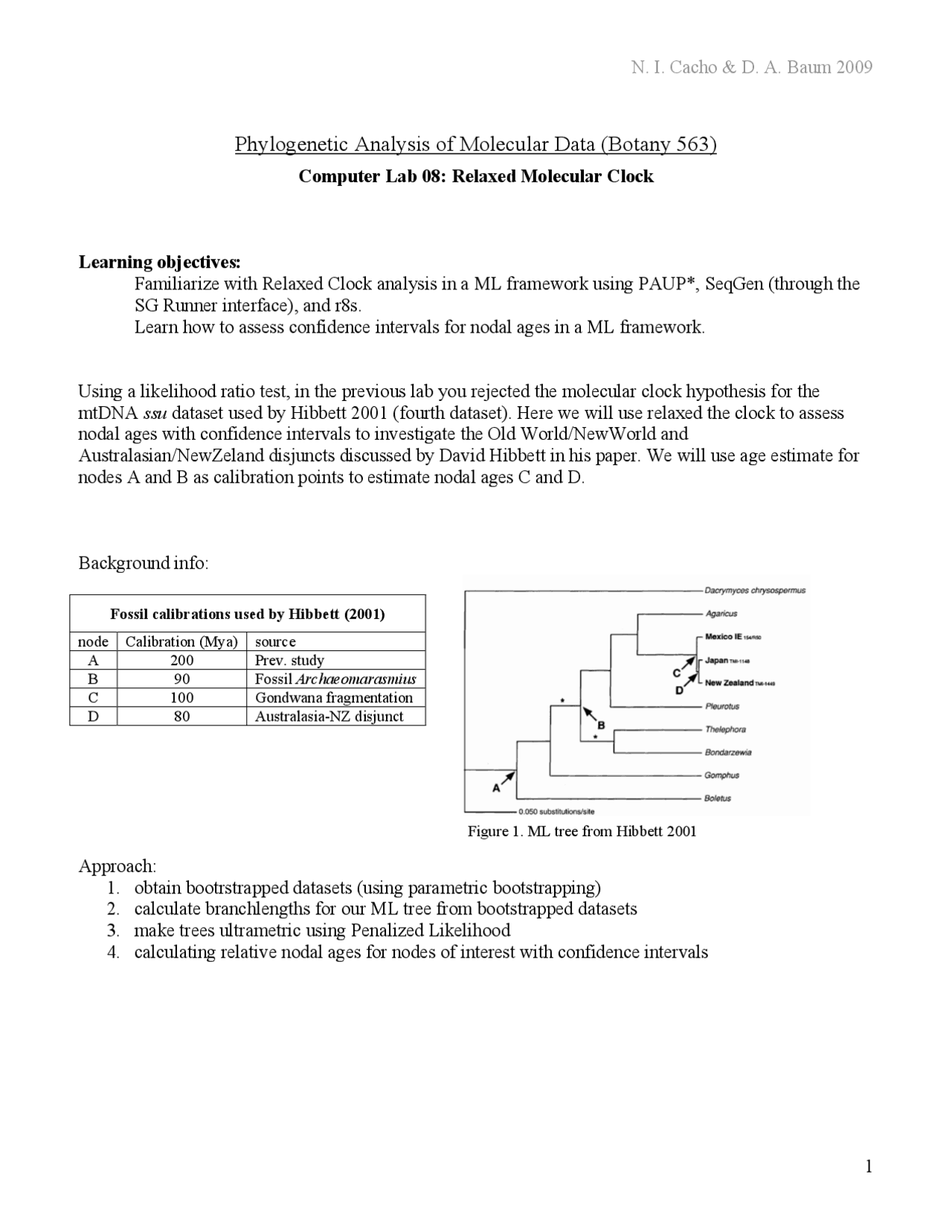 Computer Lab 08: Relaxed Molecular Clock | BOTANY 563 - Docsity
