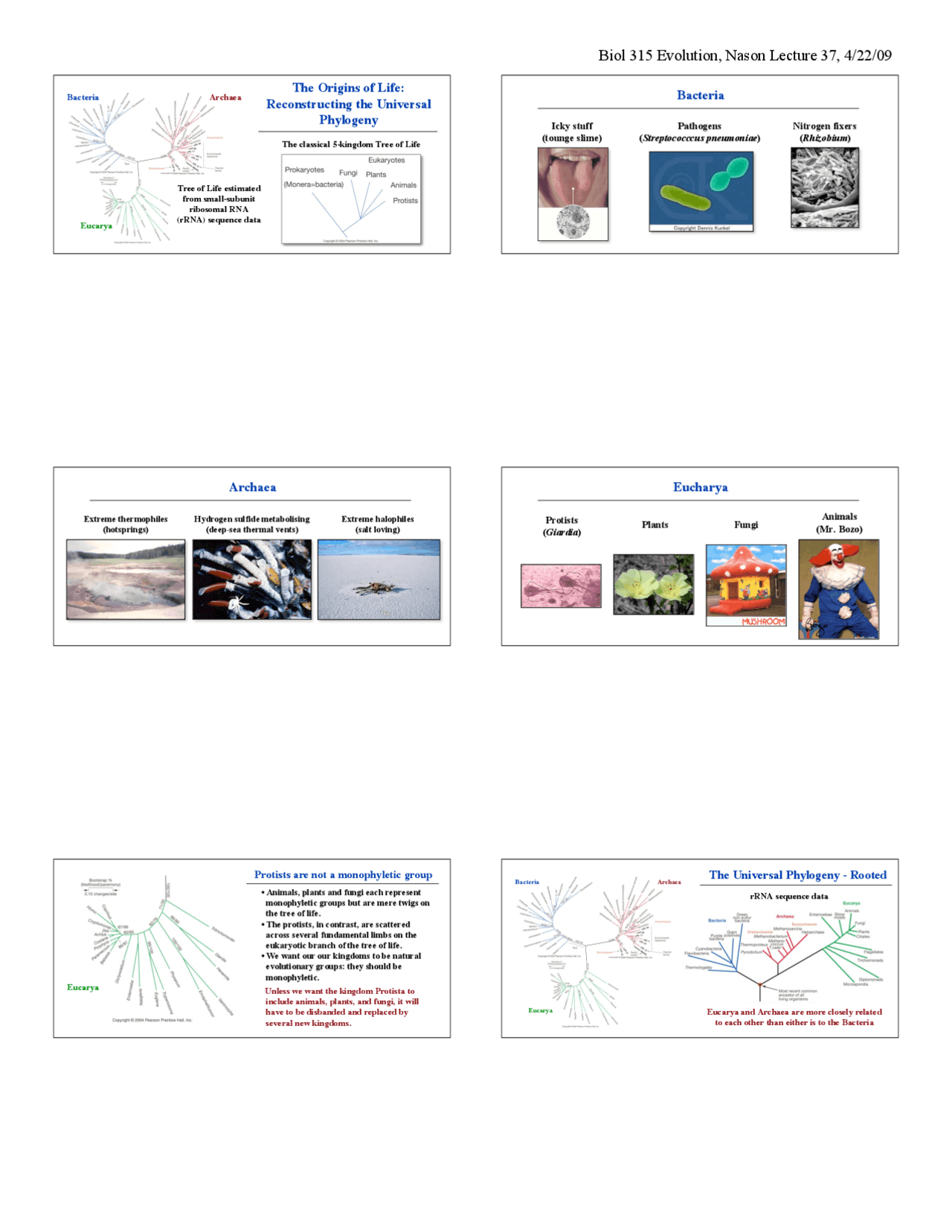 The Origins Of Life Reconstructing The Universal Phylogeny Biol 315