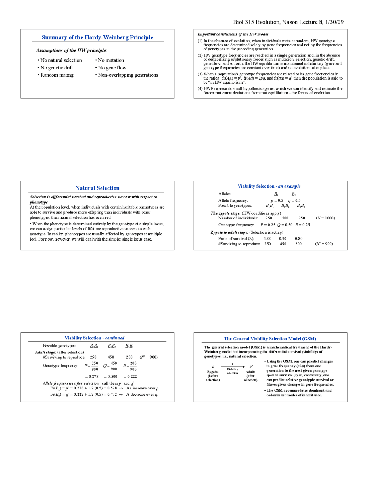 Summary Of The Hardy Weinberg Principle Lecture Slides Biol 315