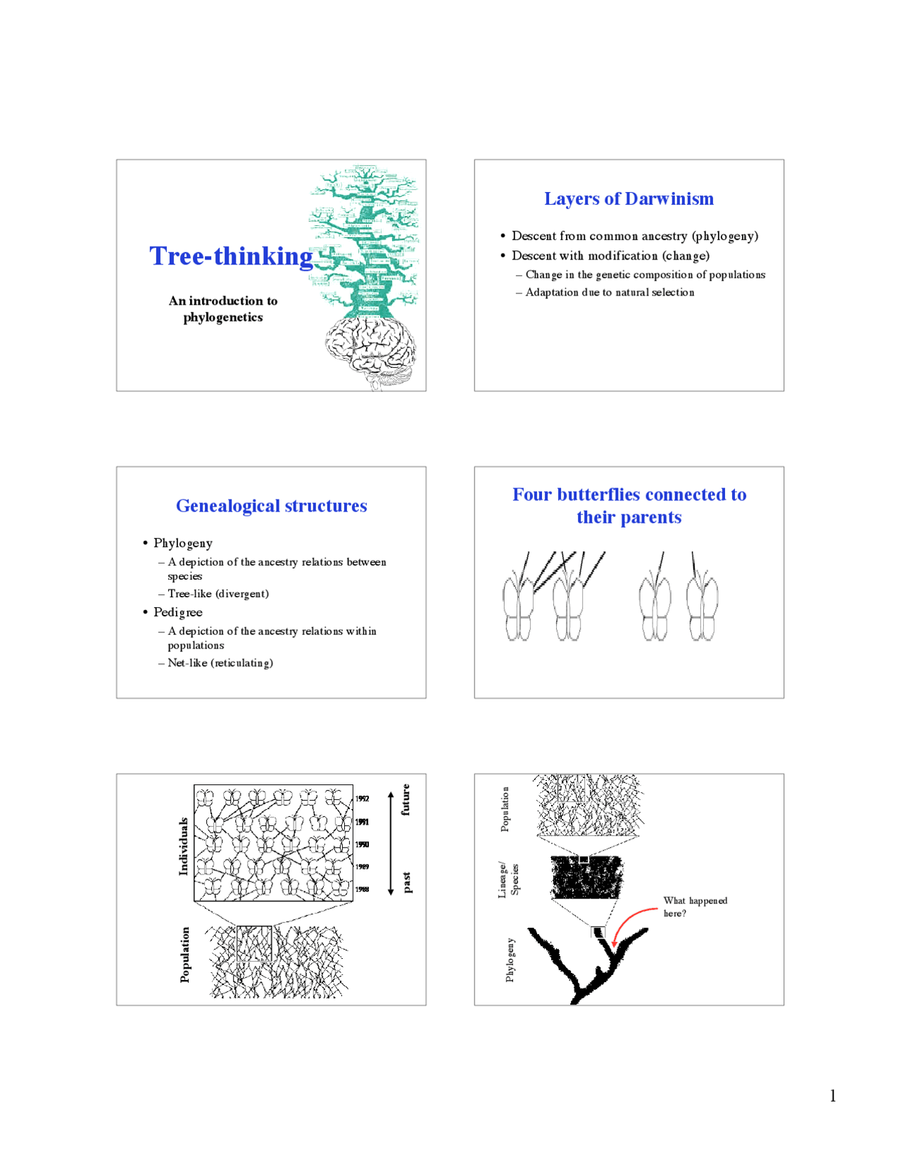 An Introduction To Phylogenetic Lecture Slides Botany 130 Docsity