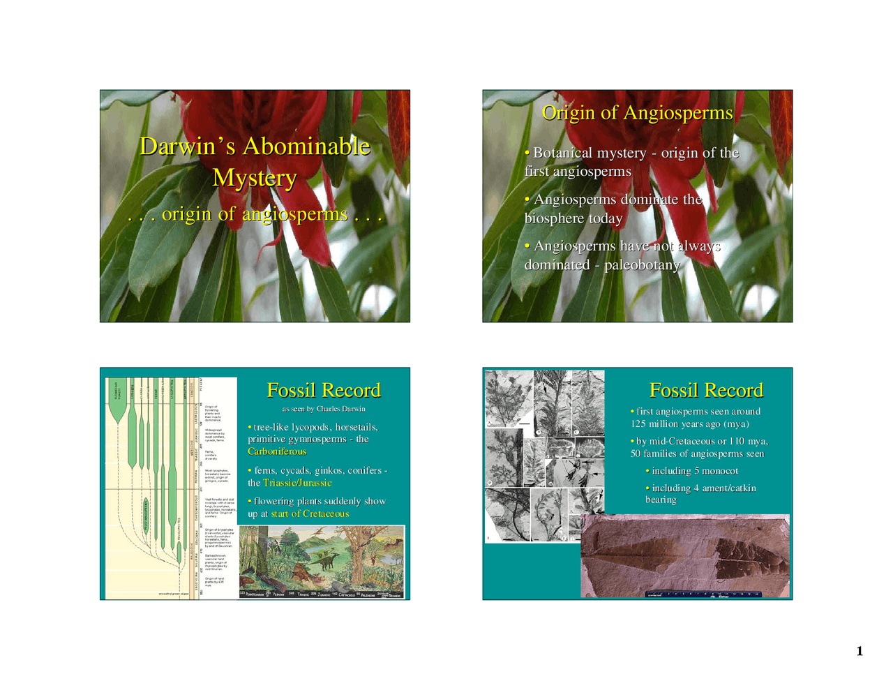 Darwin's Abominable Mystery - Plant Systematics - Lecture Slides | BOTANY 400 - Docsity