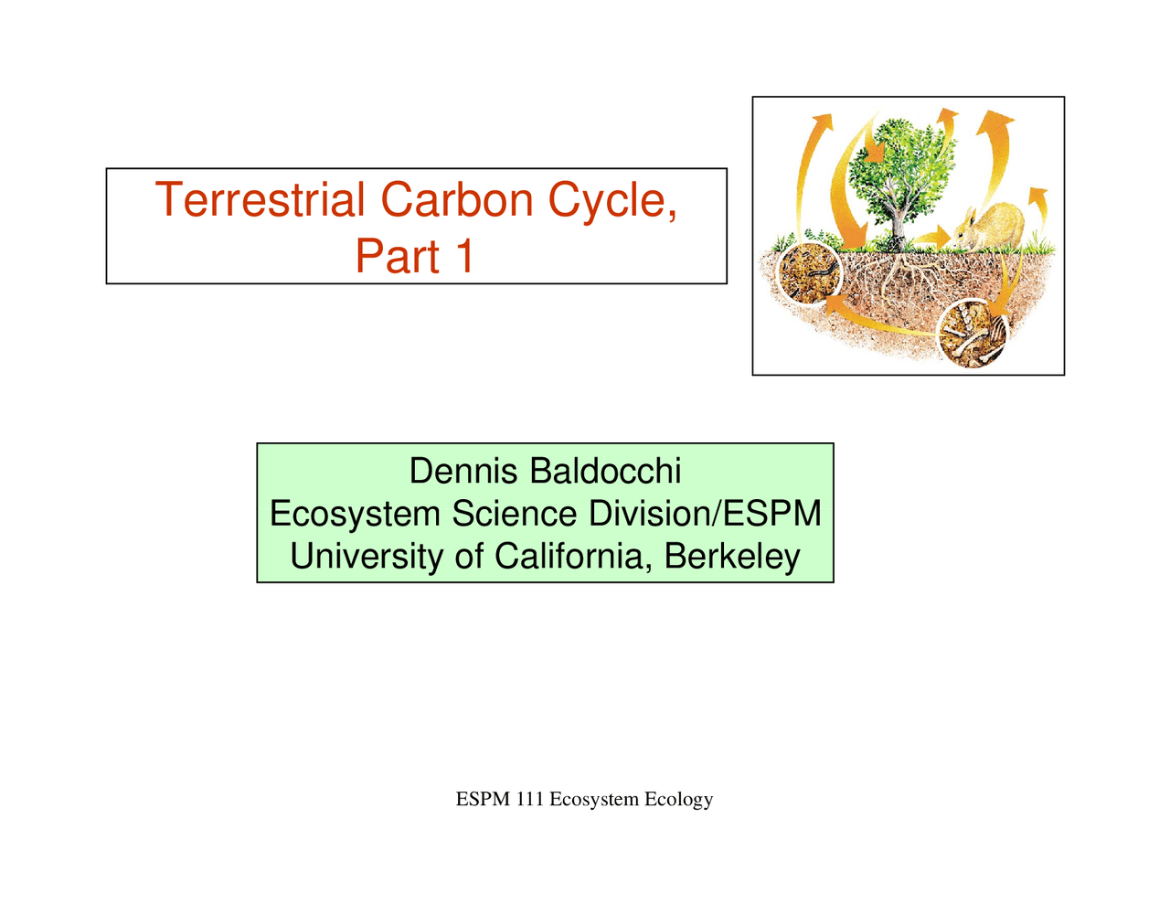 Terrestrial Carbon Cycle Lecture Slides Espm 111 Docsity