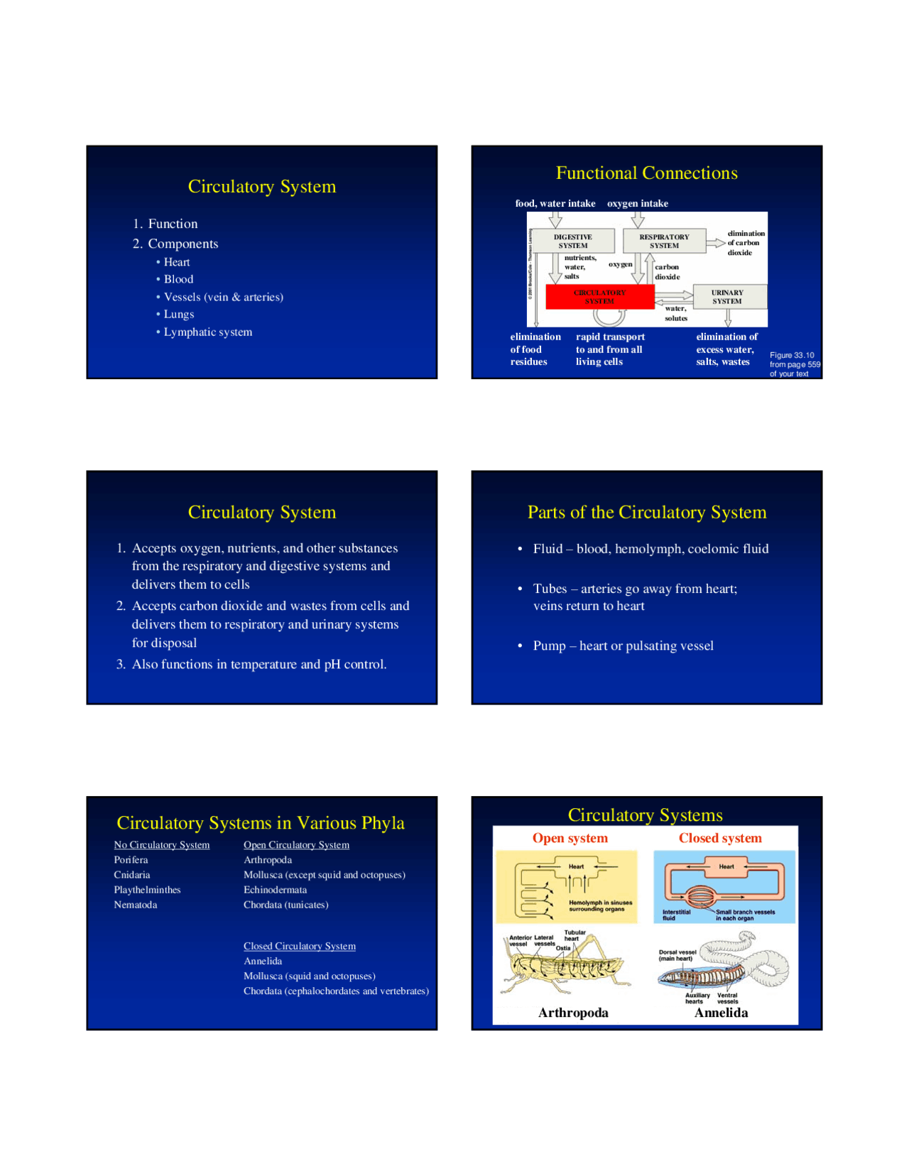 Lecture Slides On Circulatory System Function And Components Legalst