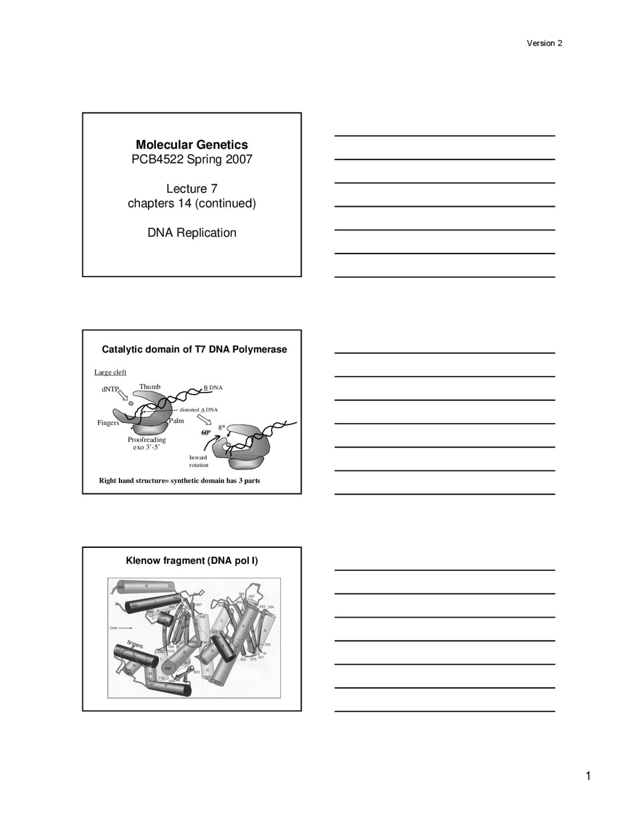 Dna Replication Molecular Genetics Slides Pcb 4522 Docsity