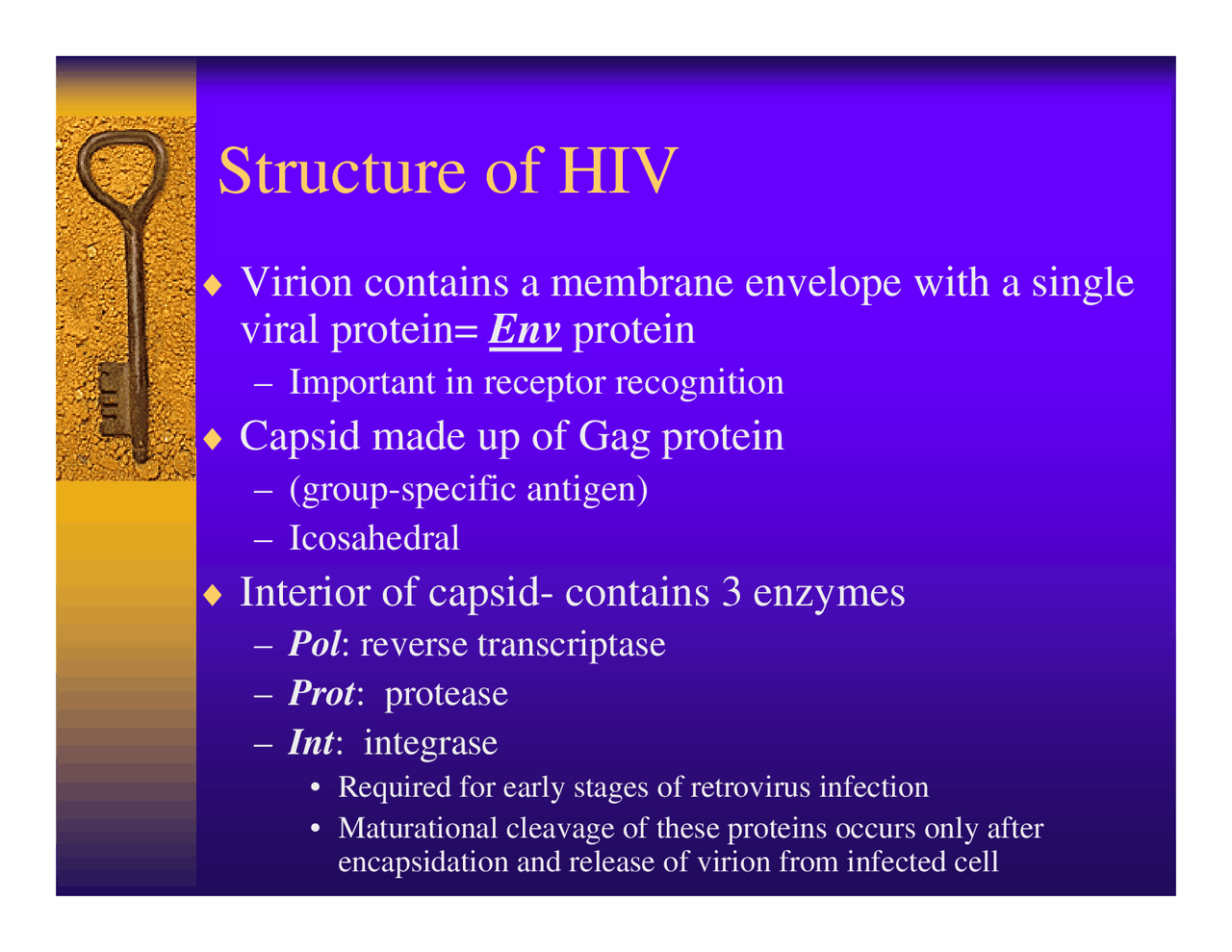 Structure of HIV - Microbiology for Allied Health Professionals | BIOL ...