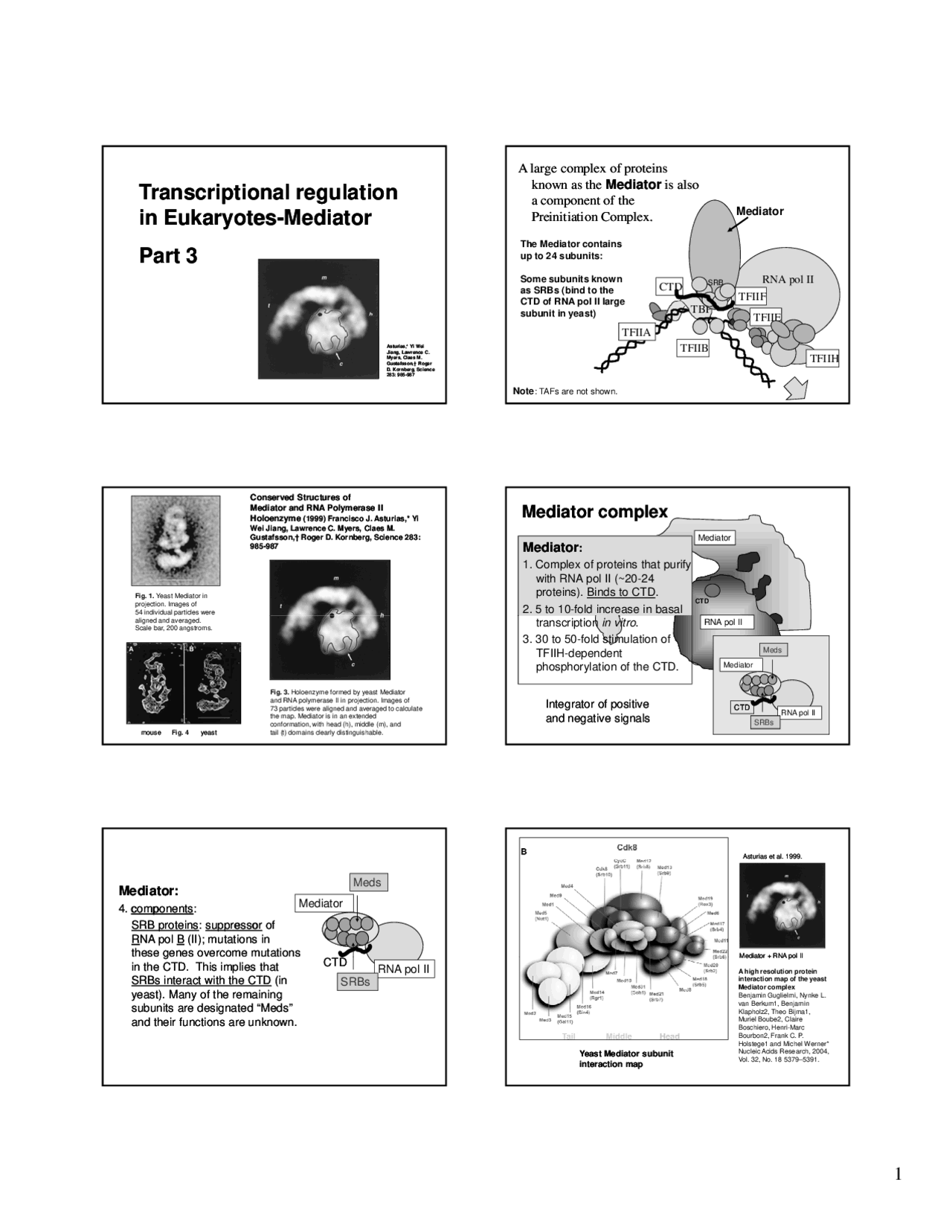 Transcriptional Regulation In Eukaryotic Mediator Lecture Slides