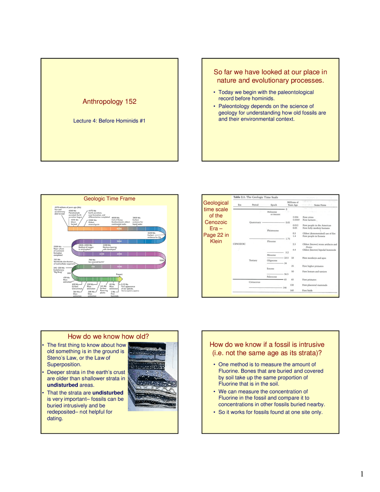 Anthropology Human Evolution Lecture Slides Ant 152 Docsity