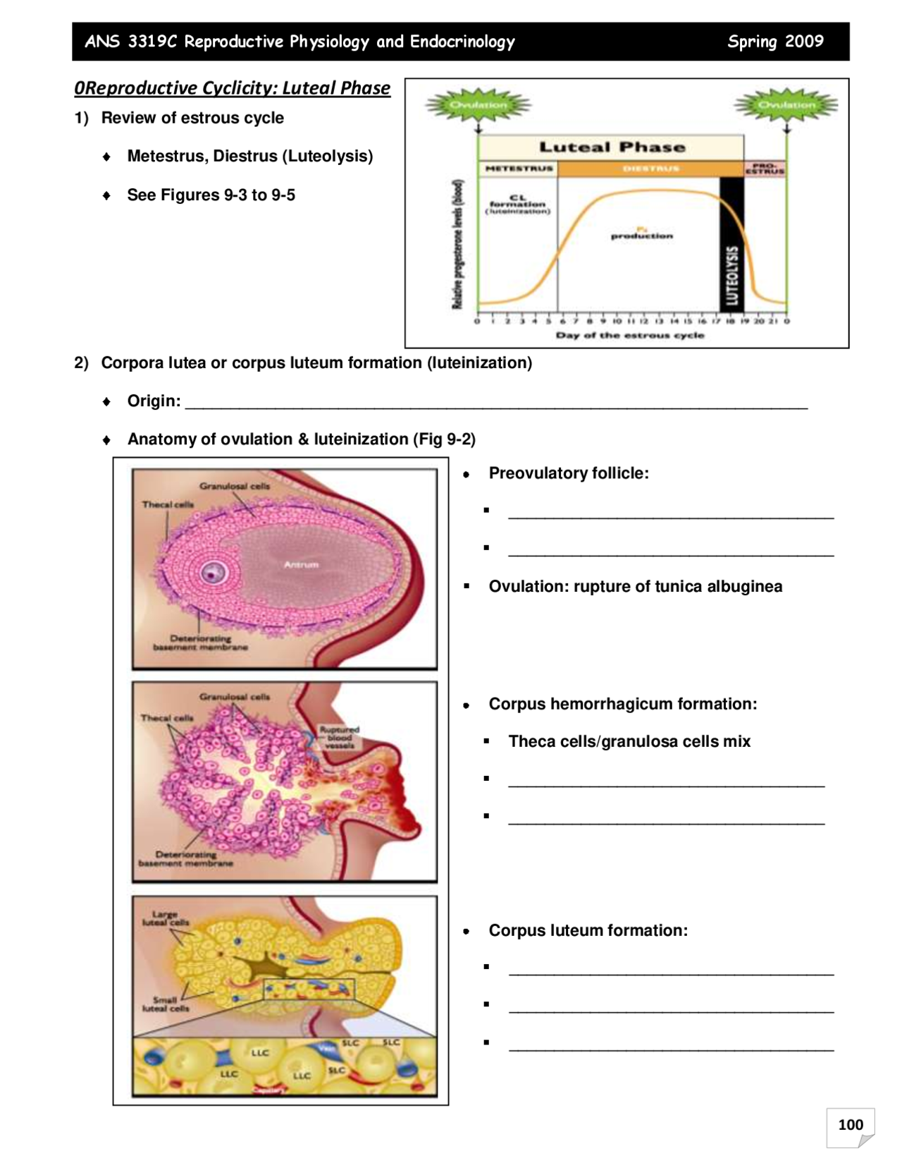 Reproductive Physiology And Endocrinology Lecture Slides Ans 3319