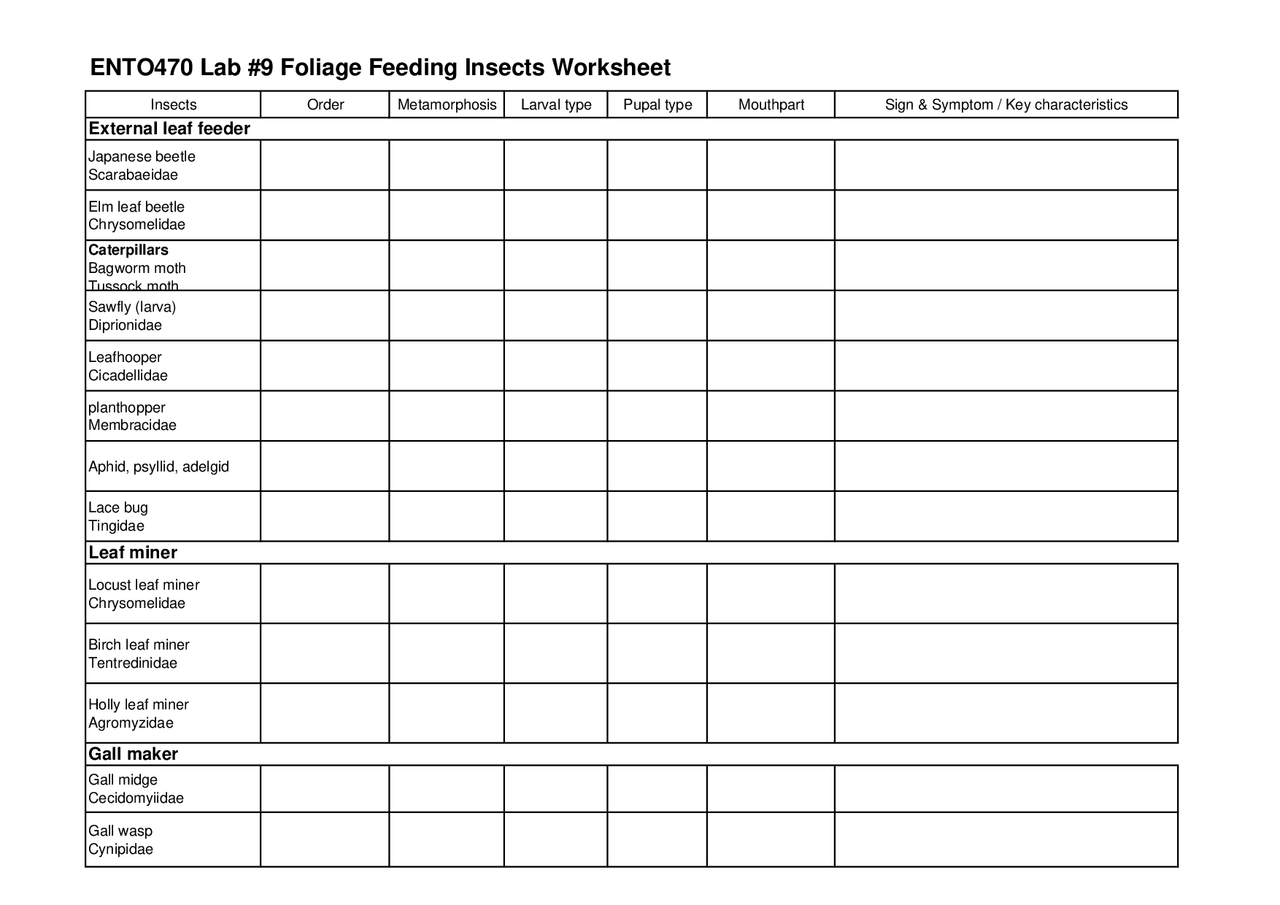 Lab 9 Foliage Feeding Insects Worksheet Forest Pest Management