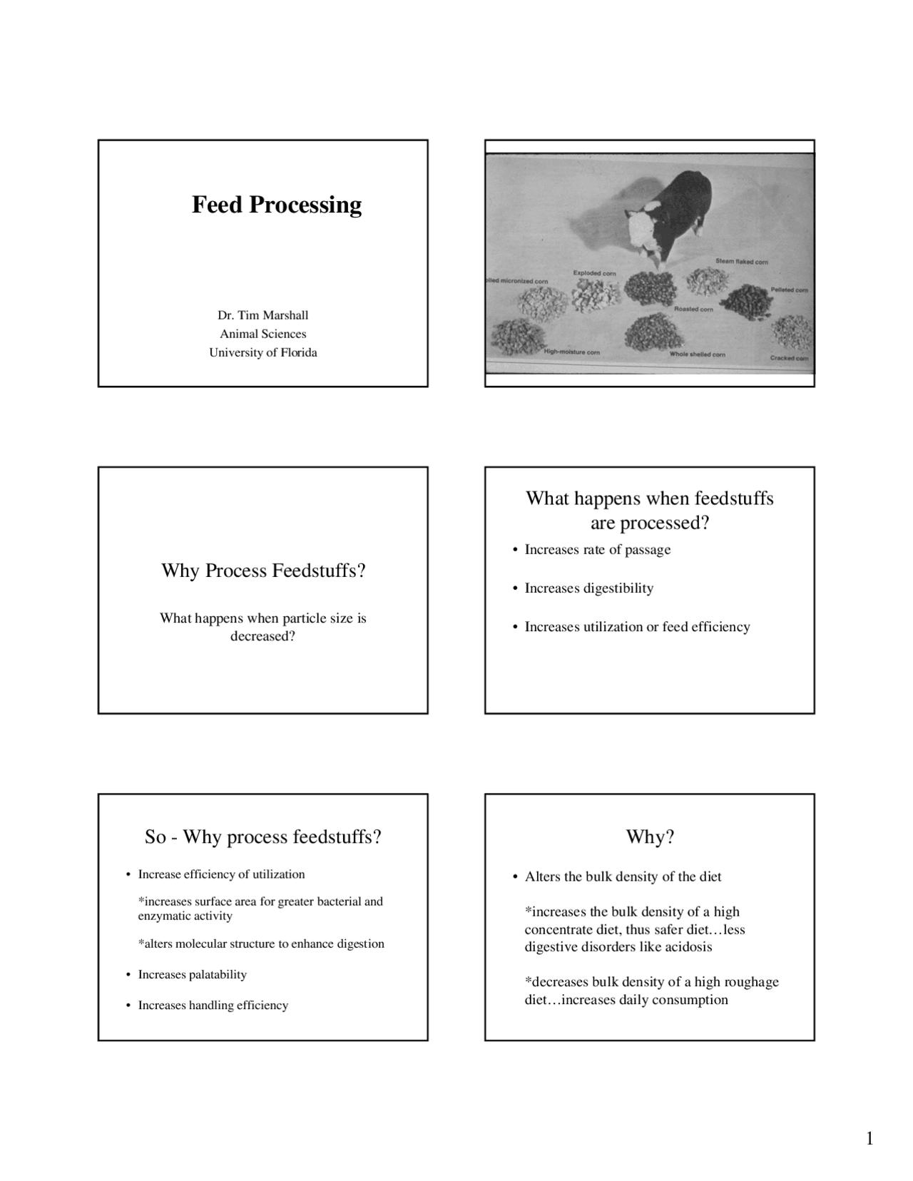 Feed Processing Lecture Slides Beef Background And Feedlot