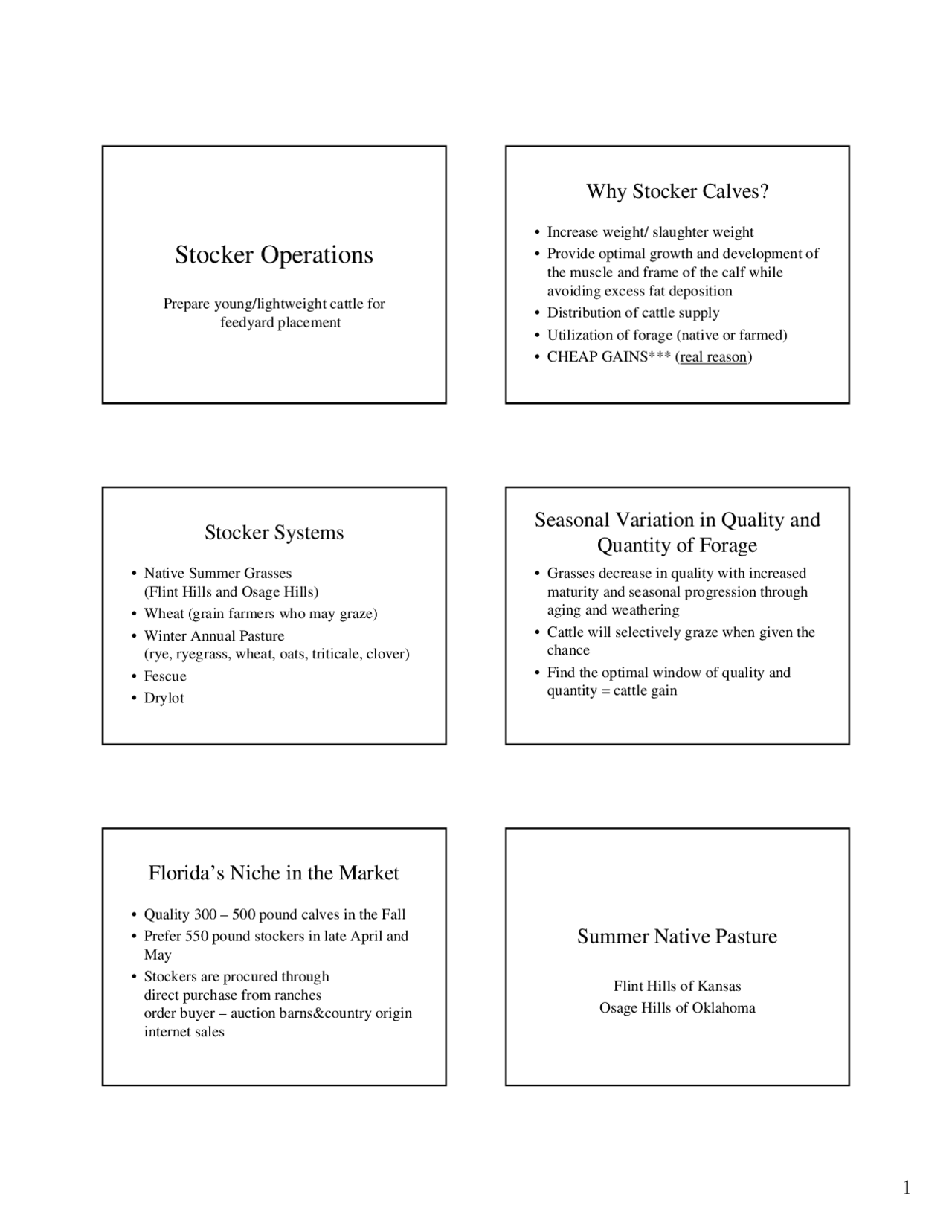 Lecture Slides On Stocker Operations Beef Background Feedlot Ans