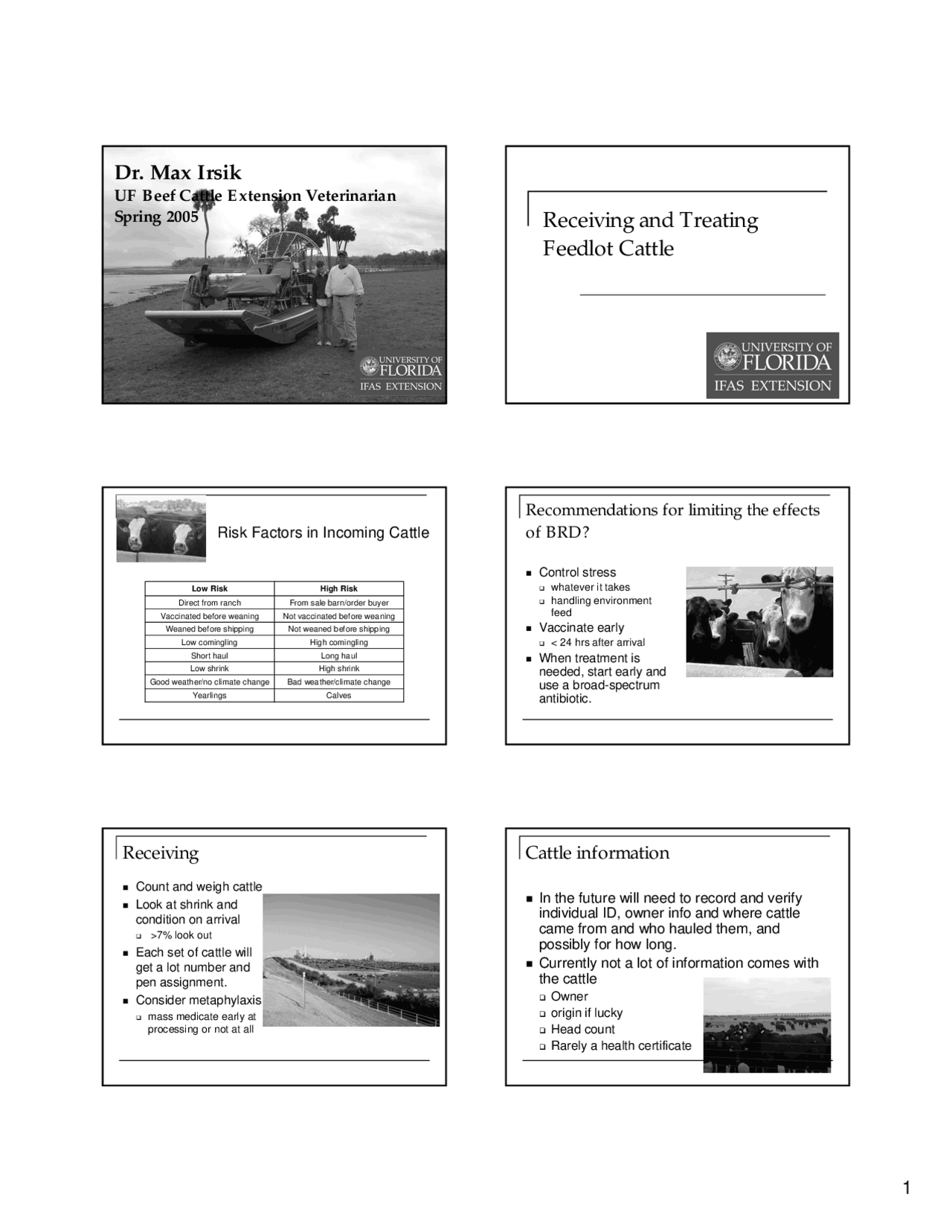Receiving And Treating Feedlot Cattle Lecture Slides Ans 4245c