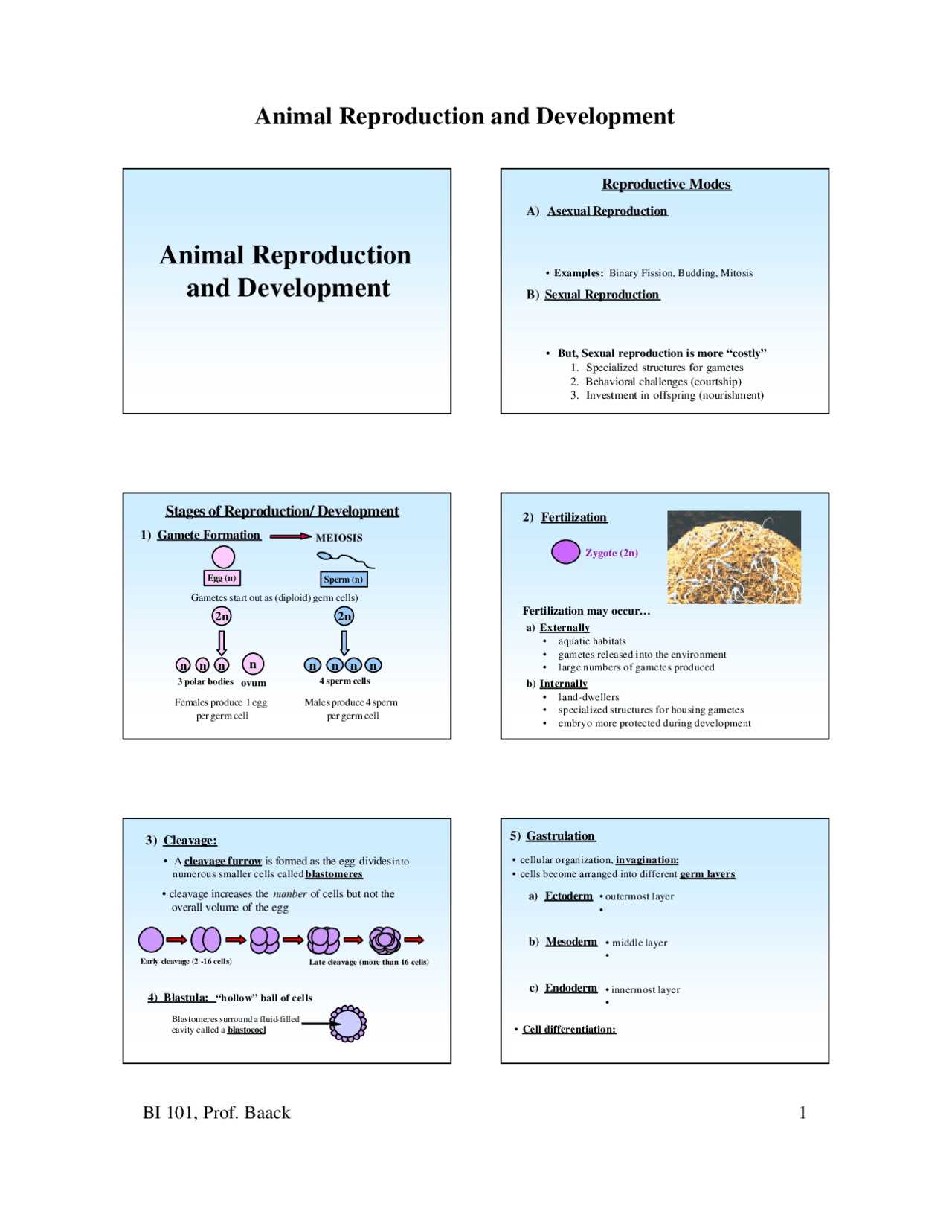 Animal Reproduction and Development - General Biology | Lecture Notes ...