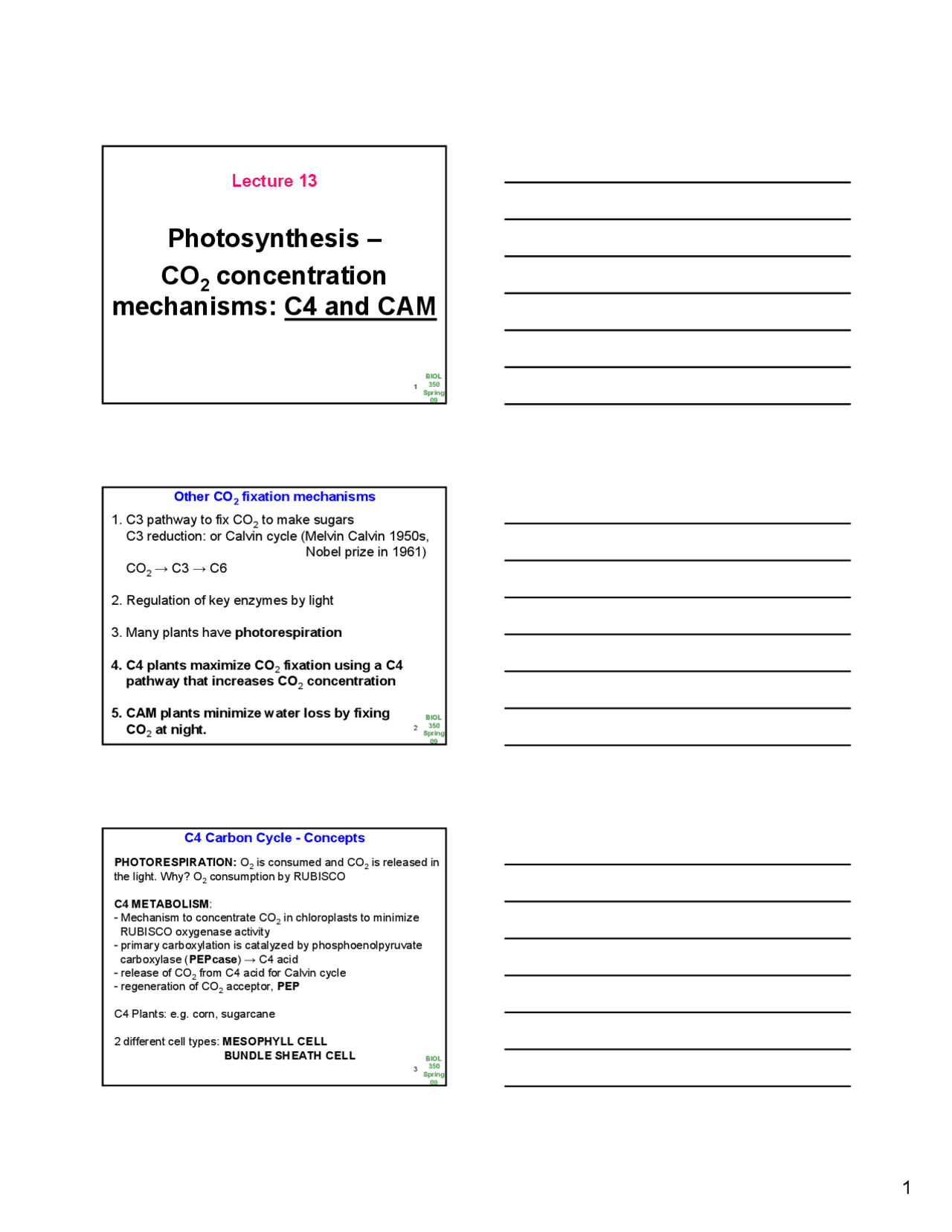 Photosynthesis and CO2 Fixation: C3, C4, and CAM Pathways | Study notes ...