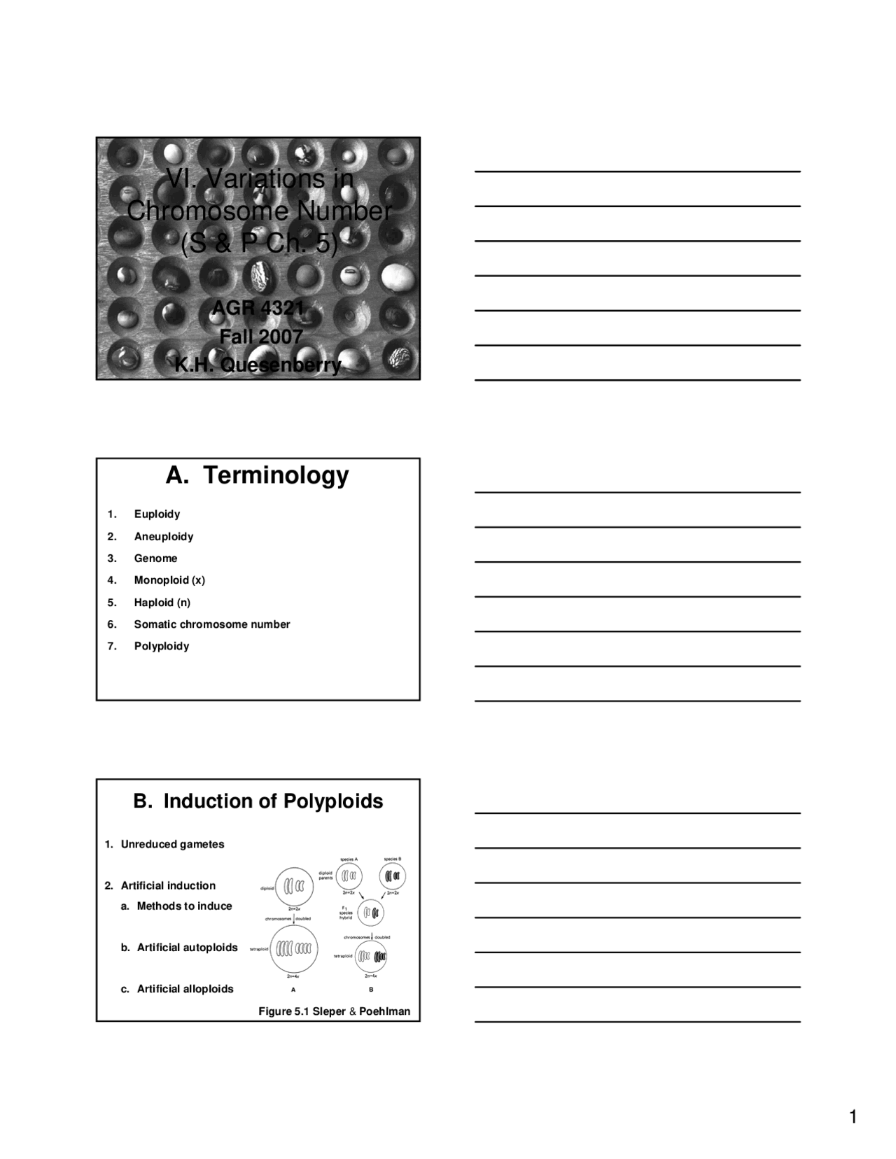 Variation In Chromosome Number Lecture Slides Agr 4321 Docsity