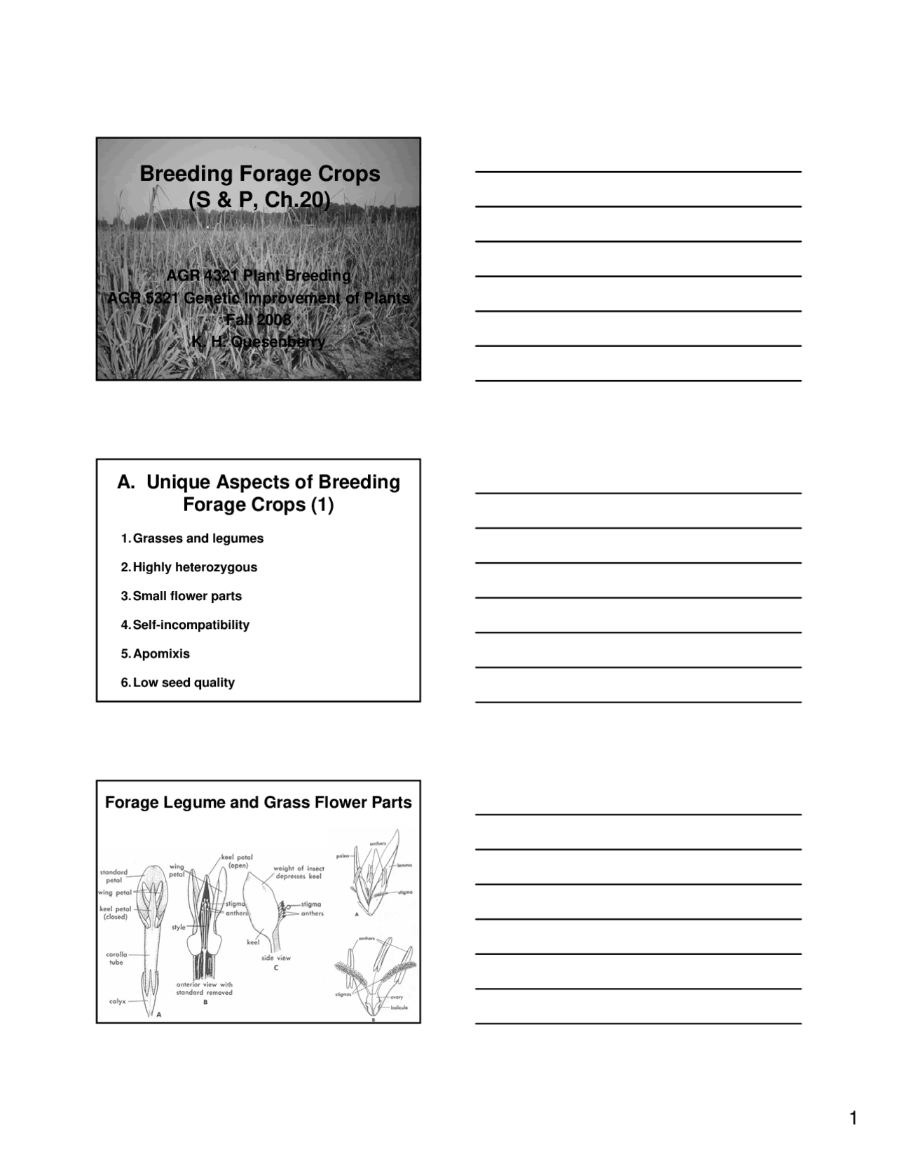 Lecture Slides On Breeding Forage Crops Agr 4321 Docsity