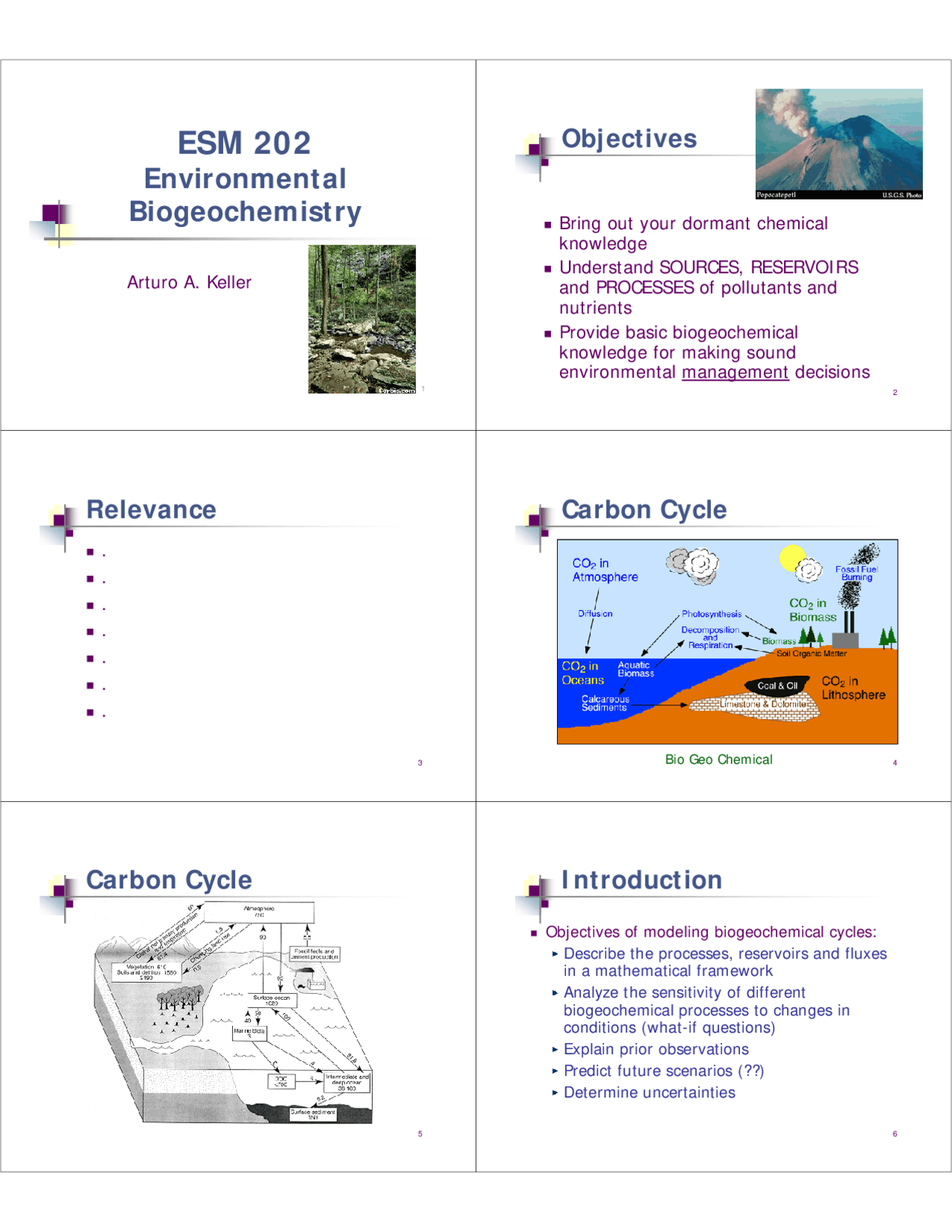 Carbon Cycle Conceptual Model Environmental Biochemistry Esm 202