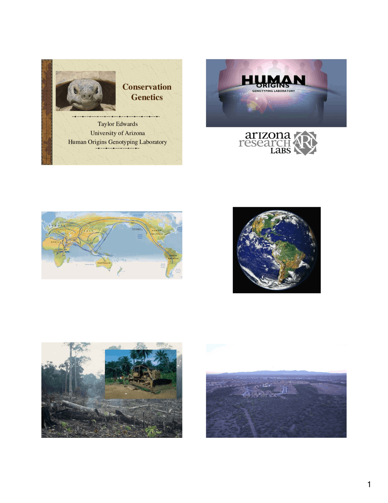 Conservation Genetics Conservation Biology Lab Ecol 406r Docsity