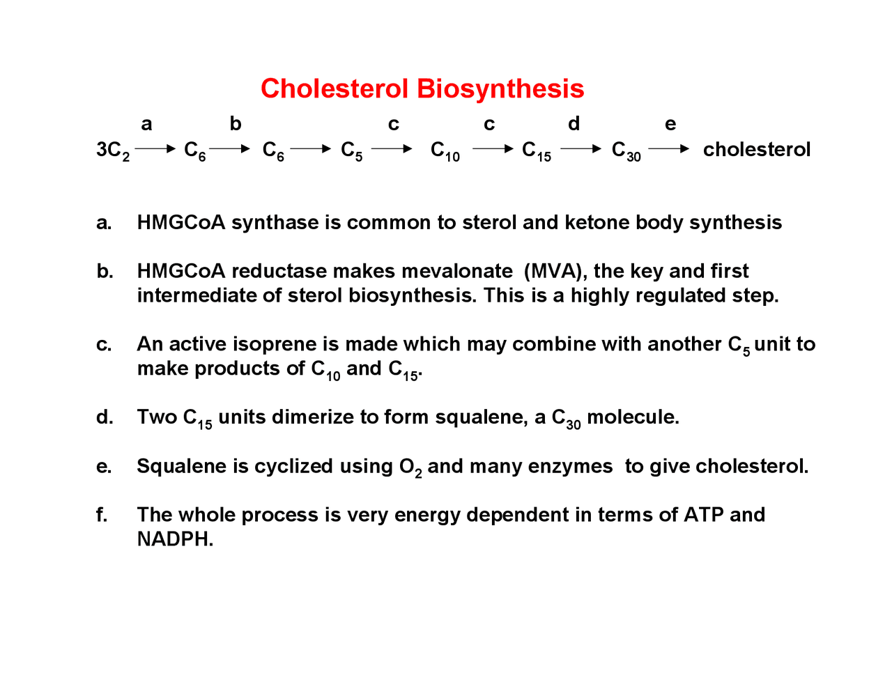 Introduction To Biochemistry Cholesterol Biosynthesis Bch 4024
