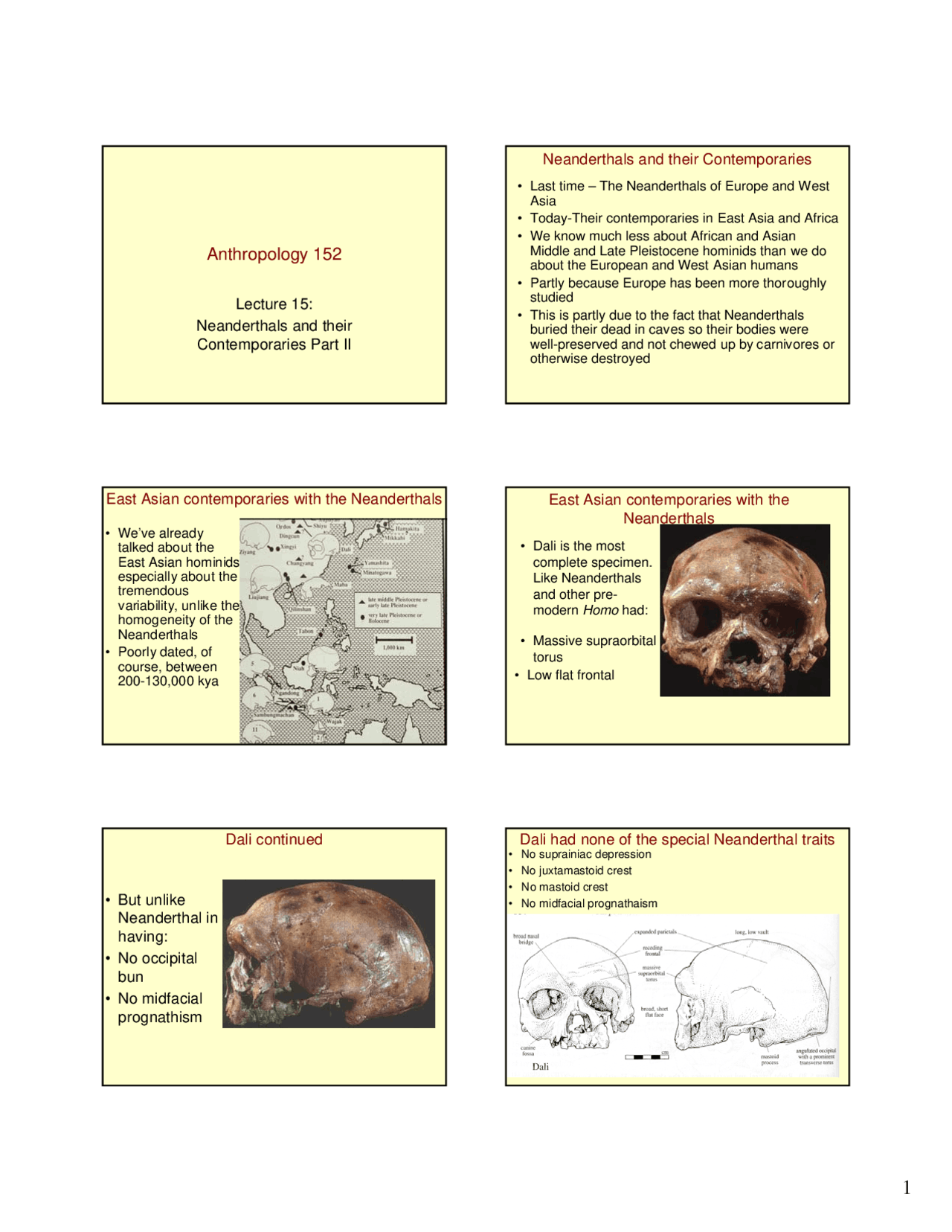 Human Evolution In Anthropology Lecture Slides Ant 152 Docsity