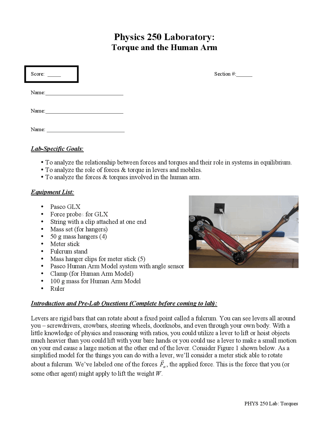 Torque and Human Arm - Introductory Physics I | PHYS 250 - Docsity