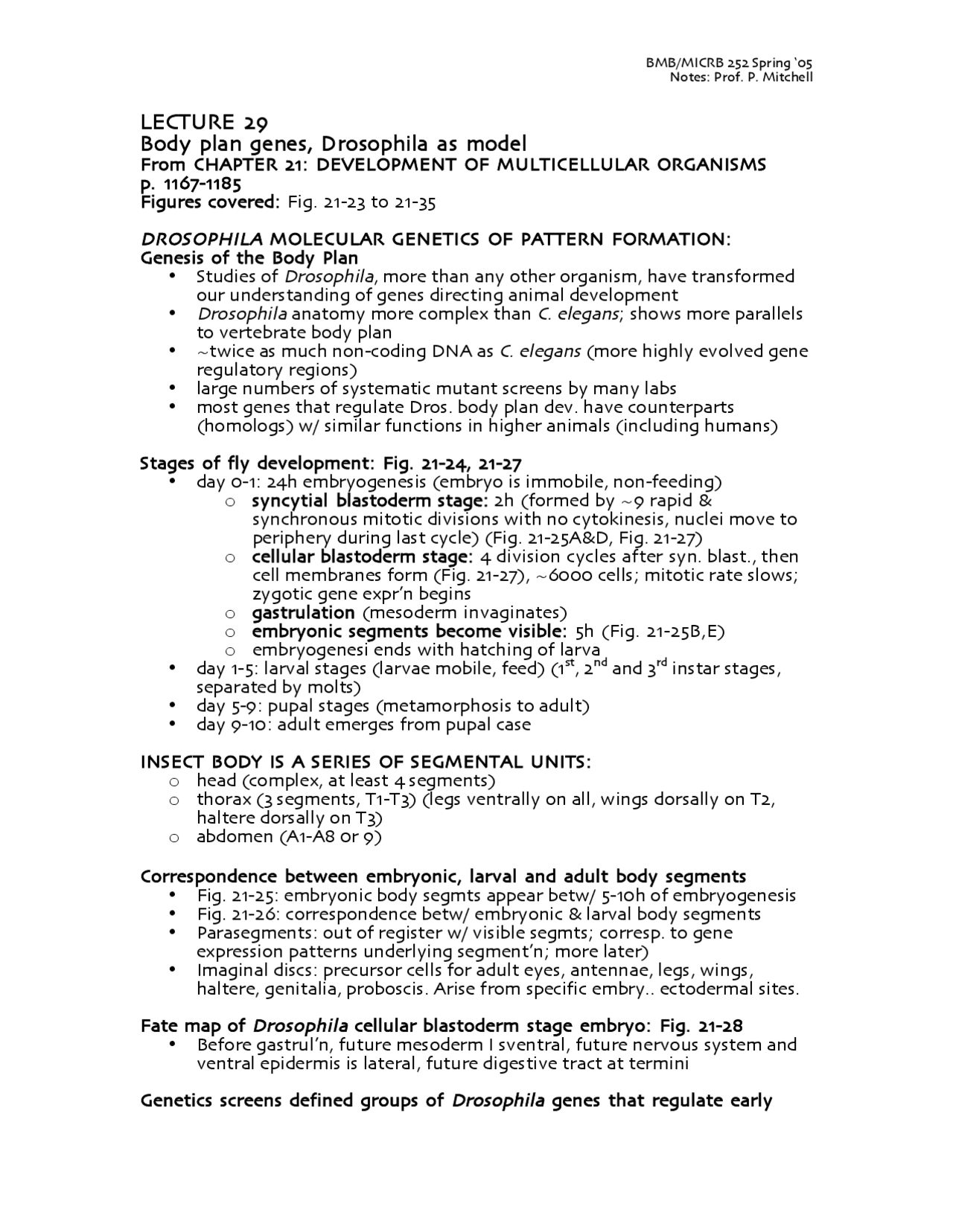 Notes On Body Plan Genes Dorsophila Ad Model MICRB 252 Docsity Notes On Body Plan Genes Dorsophila Ad Model MICRB 252 Docsity